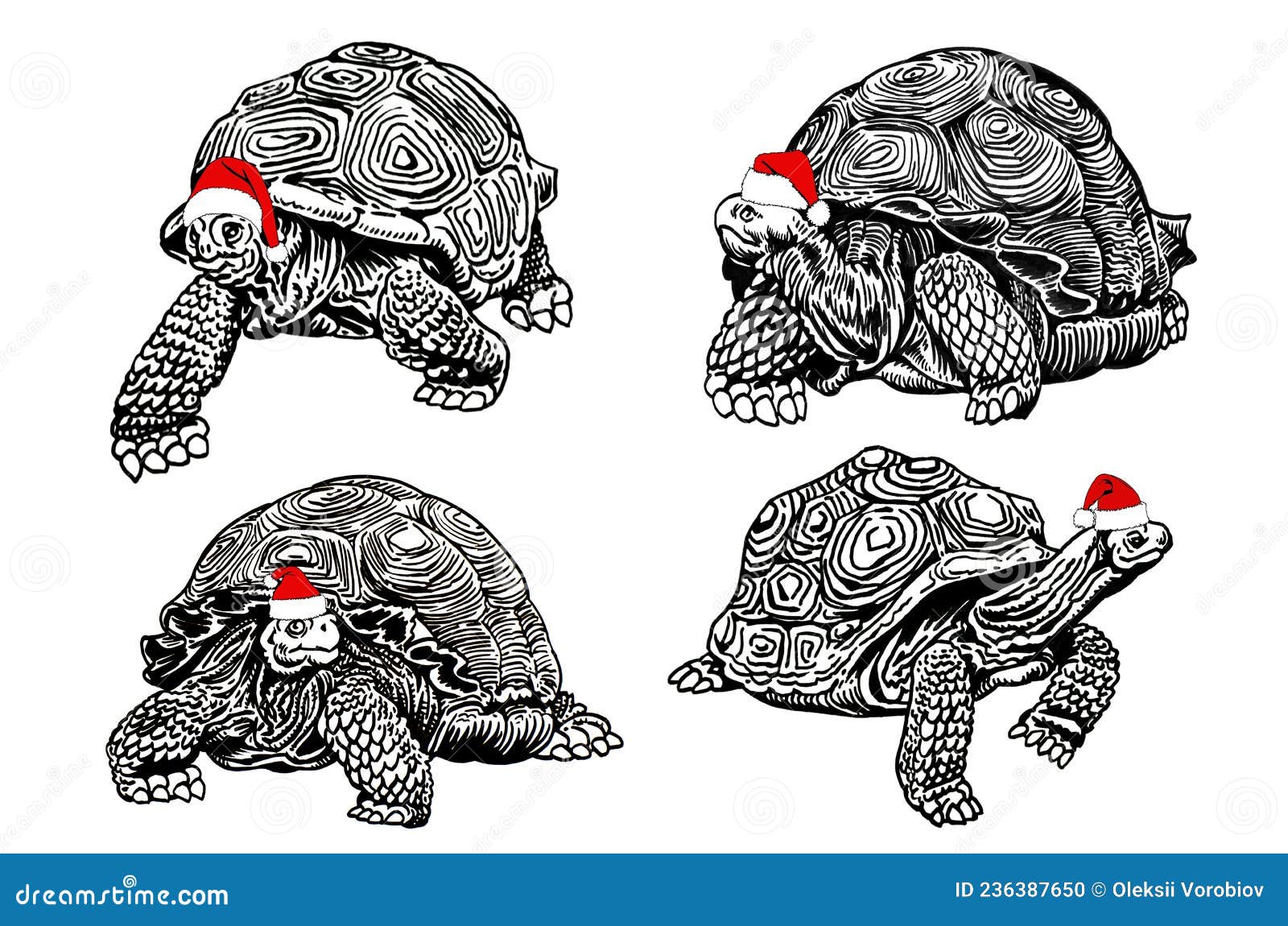 Graphical Christmas Elements , Turtles in Red Santa Claus Hat Isolated ...