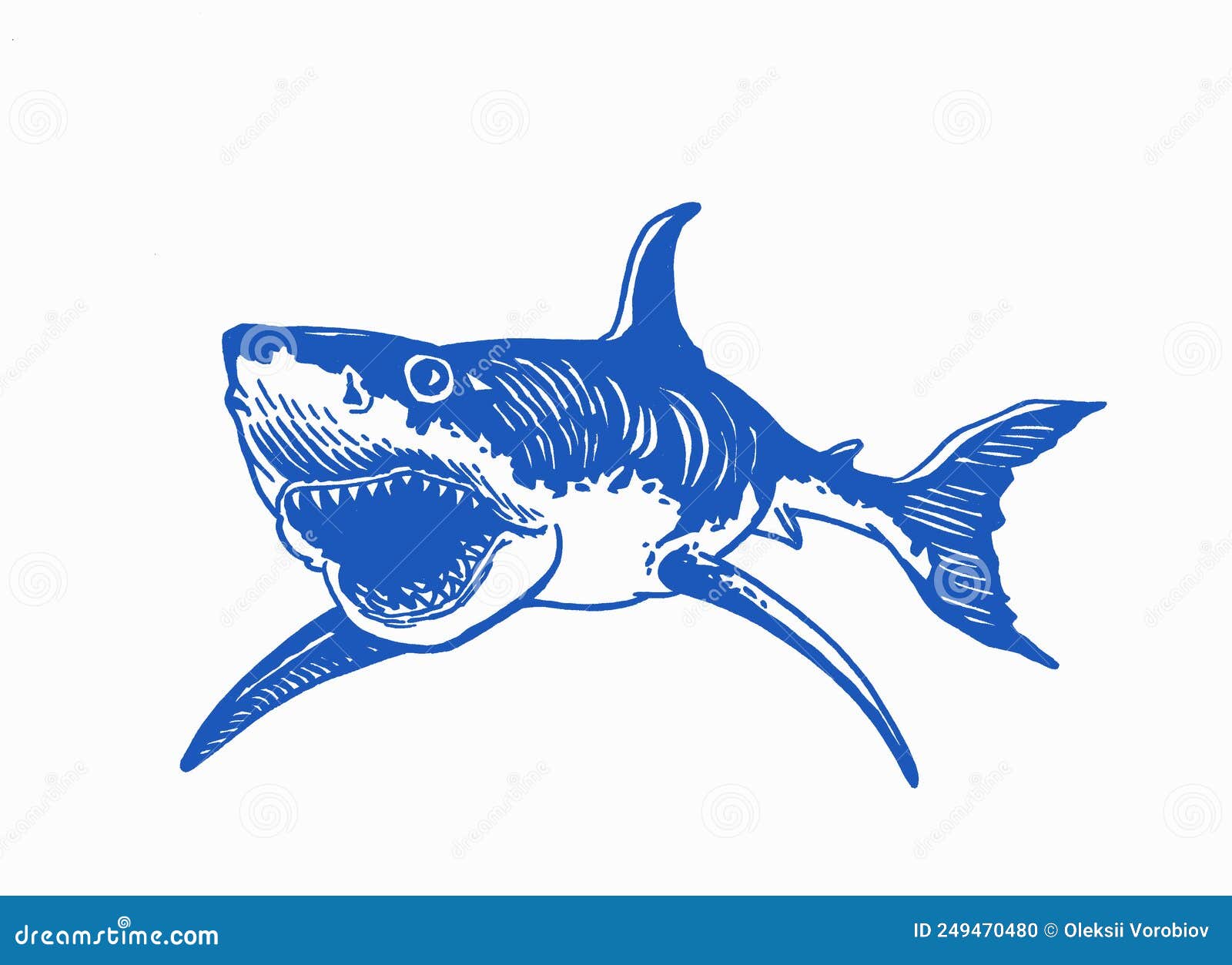 Graphical Color Illustration of Great White Shark ,angry Look. Aquatic ...