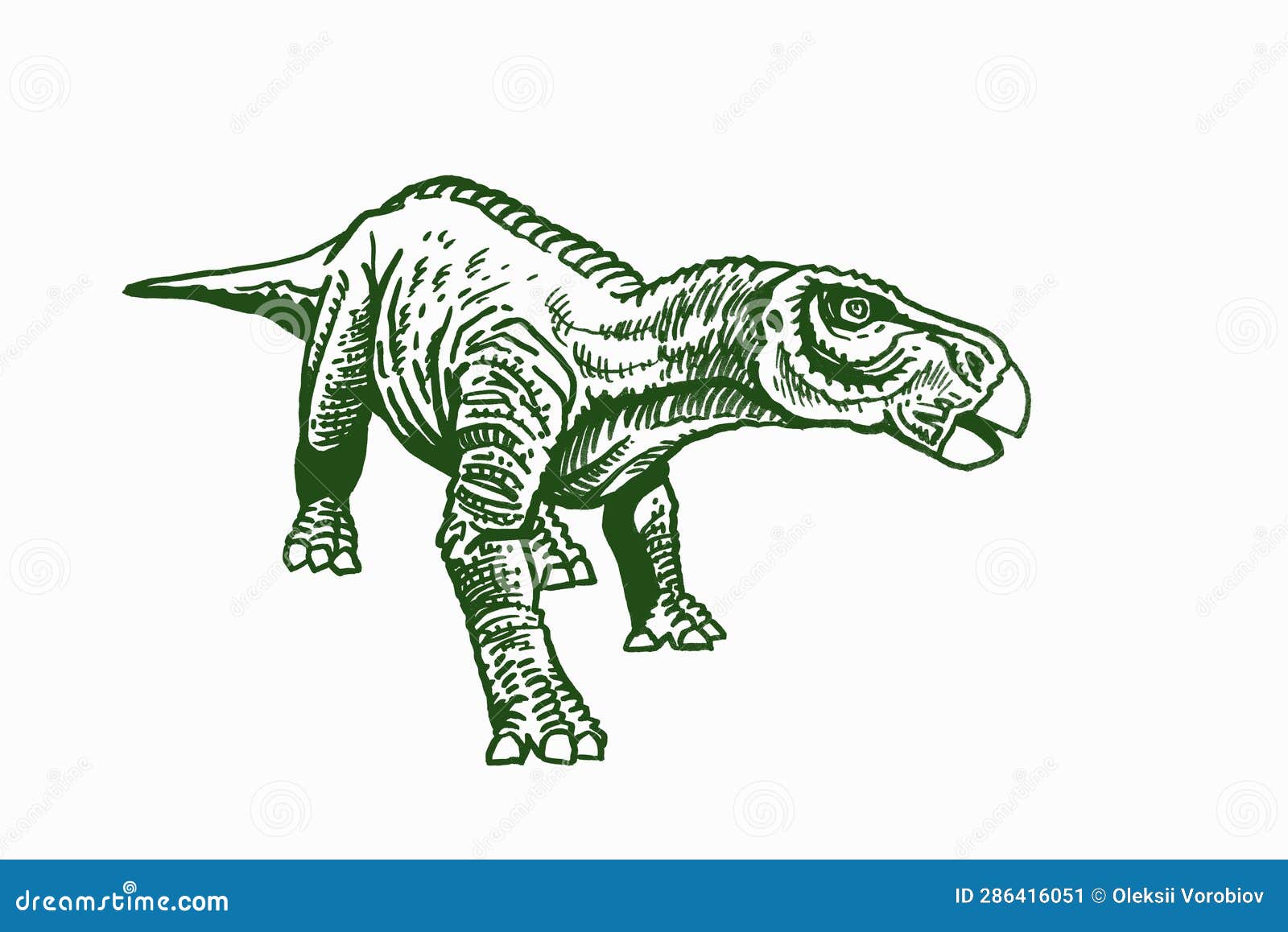 Graphical Color Illustration of Iguanodon,vector Illuatration.Green ...