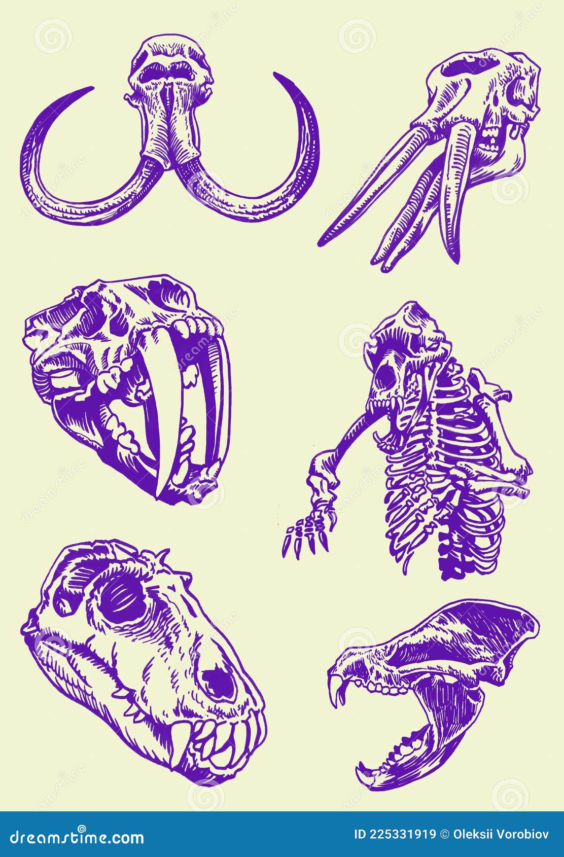 Graphical Color Set Of Dinosaurs,grey Color Vector Elements ...