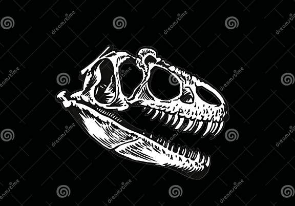 Graphical 3d Skull of Raptor Isolated on Black Background,vector ...