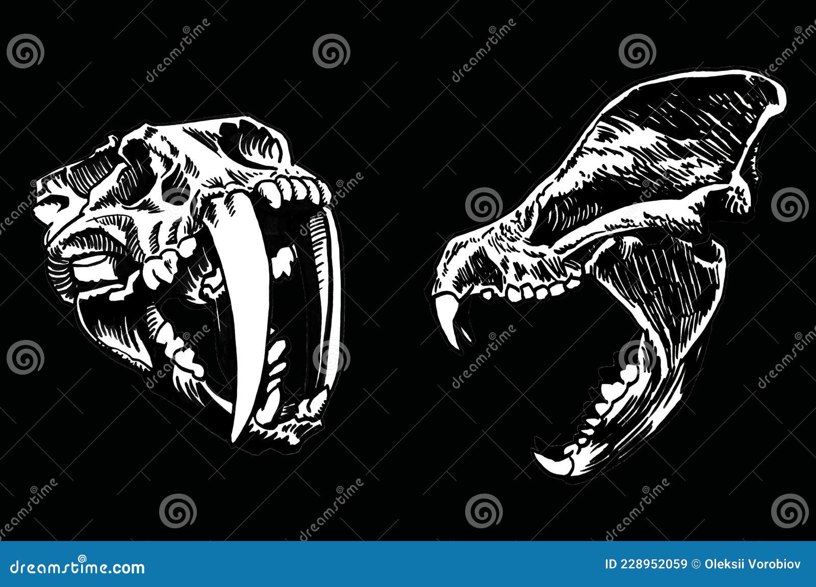 Smilodon Vector Icon On White Background. Flat Vector Smilodon Icon ...