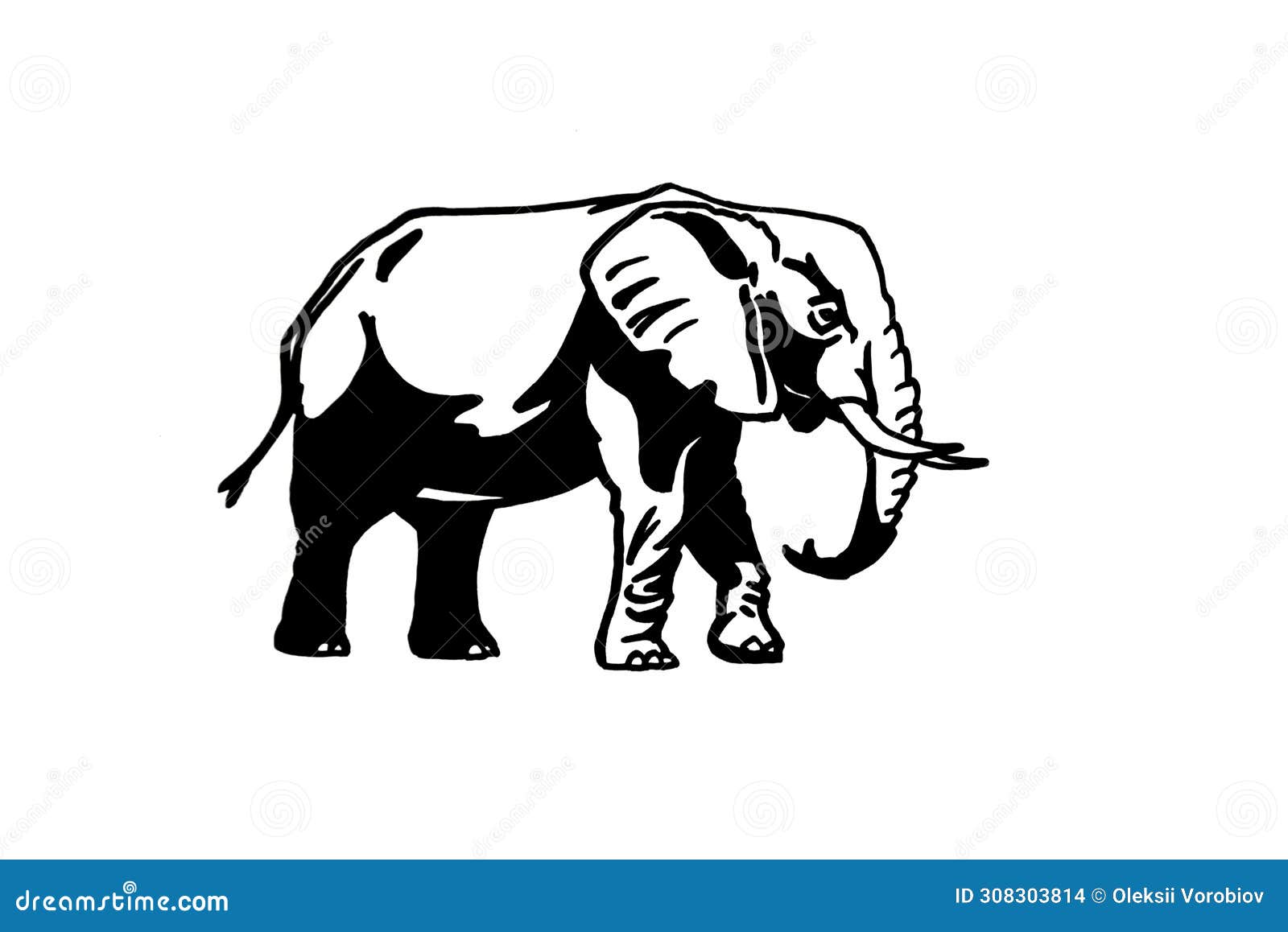 Graphical Elephant Walking on White Background, Vector Illustration ...