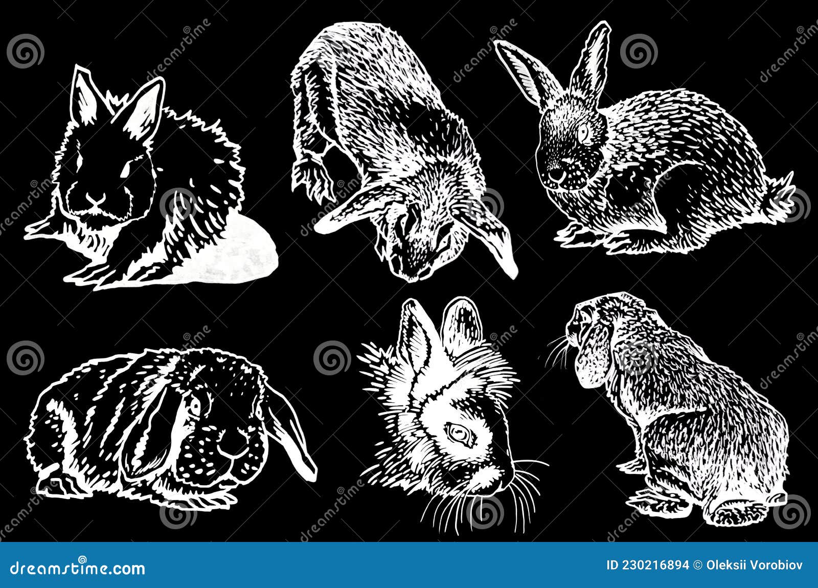 Graphical Engraved Set of Rabbits Isolated on Black Background,vector ...