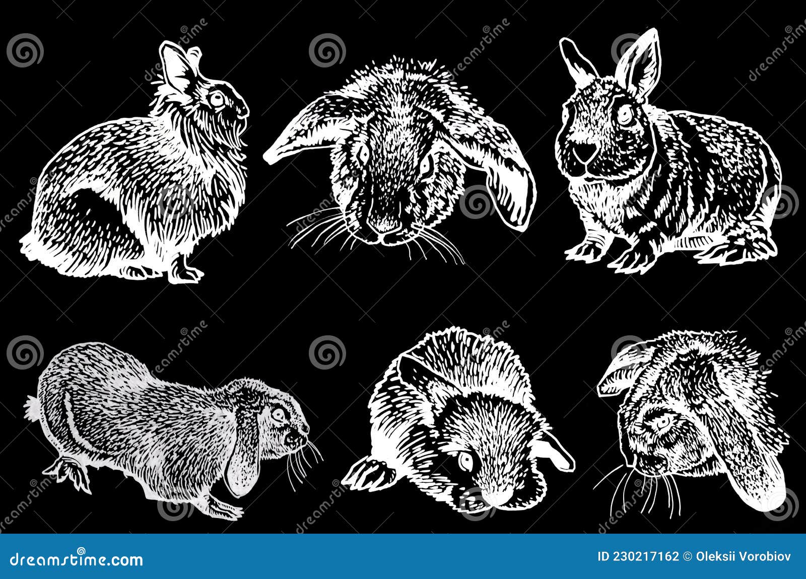 Graphical Engraved Set of Rabbits Isolated on Black Background,vector ...