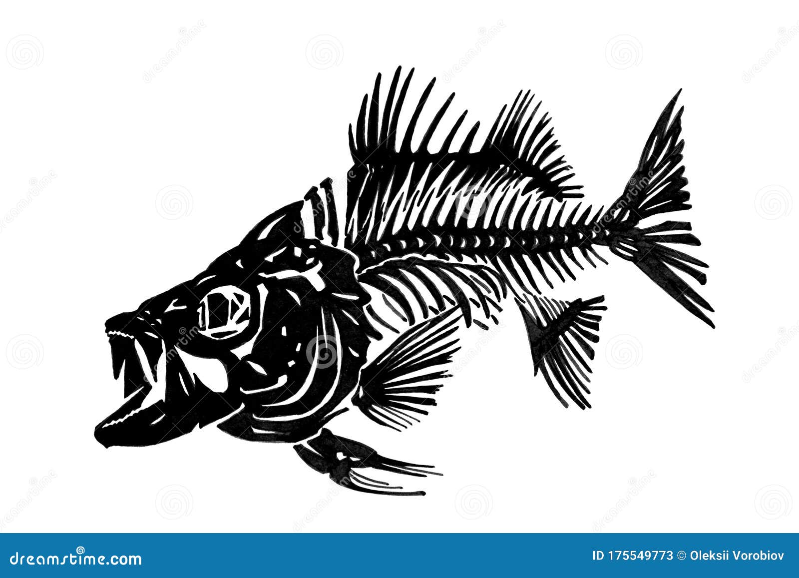 Graphical Fish Skeleton Isolated On Black Background, Vector ... Graphical Fish Skeleton Isolated On Black Background, Vector ...