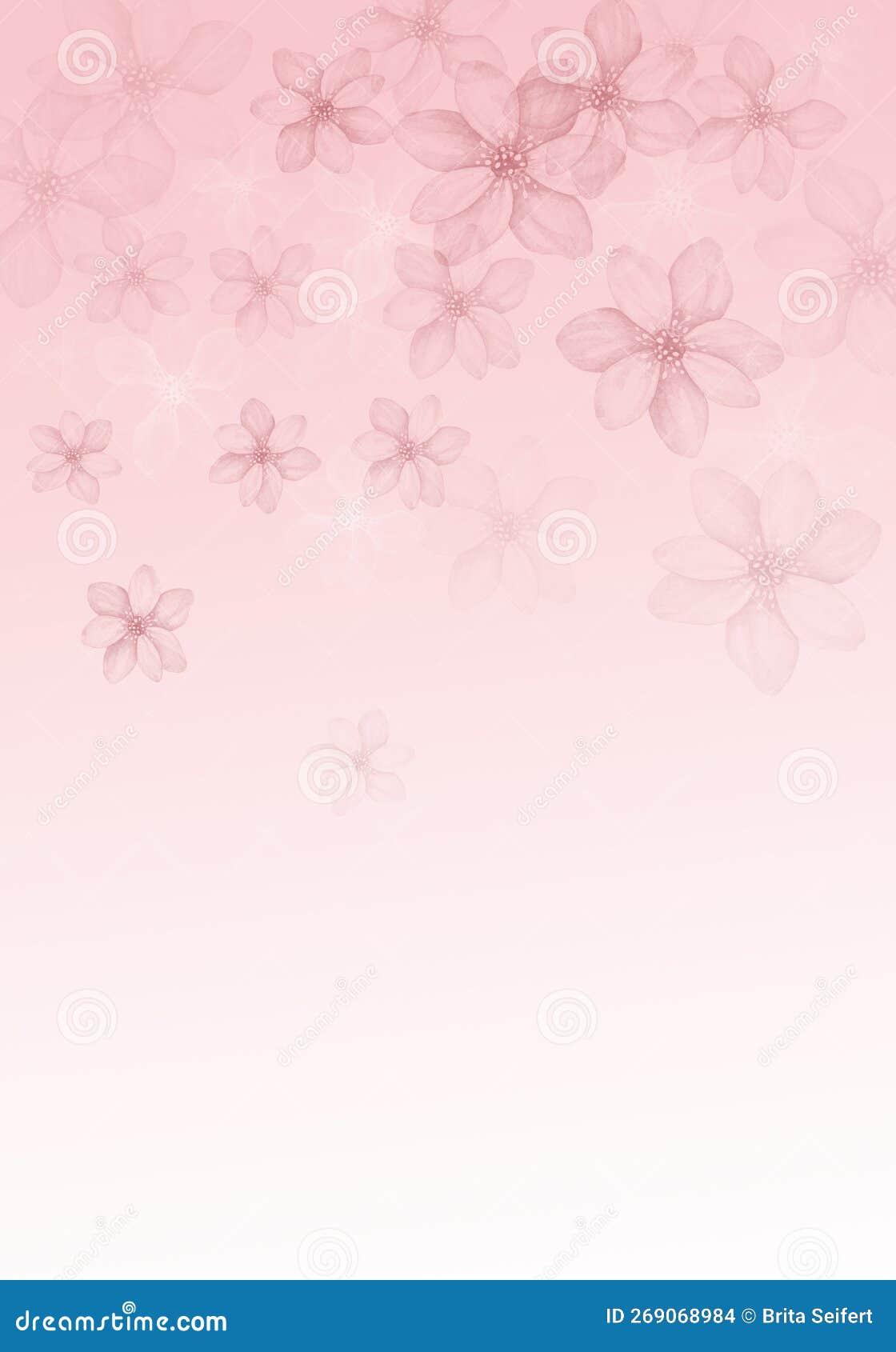 Graphical Flower Illustration. Floral Line Art Pattern on Pink ...