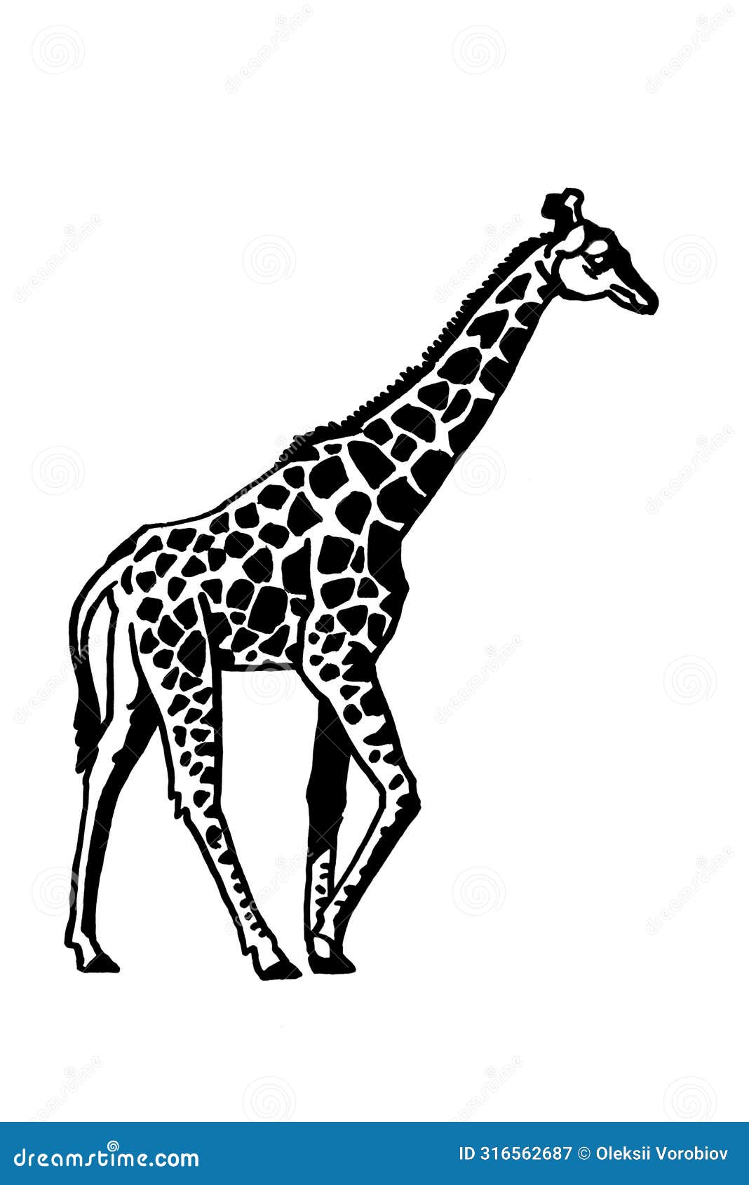 Graphical Giraffe on White Background,vector Illustration. African ...