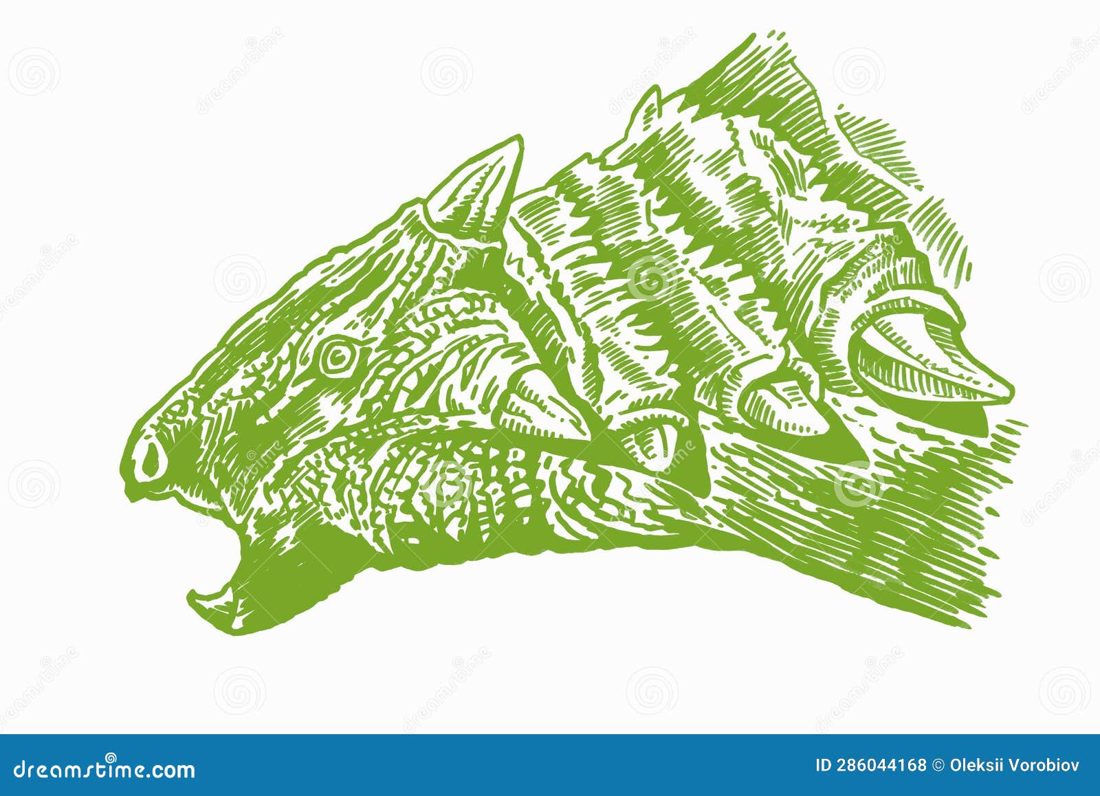 Graphical Green Silvisaurus Isolated On White Background, Vector Color ...