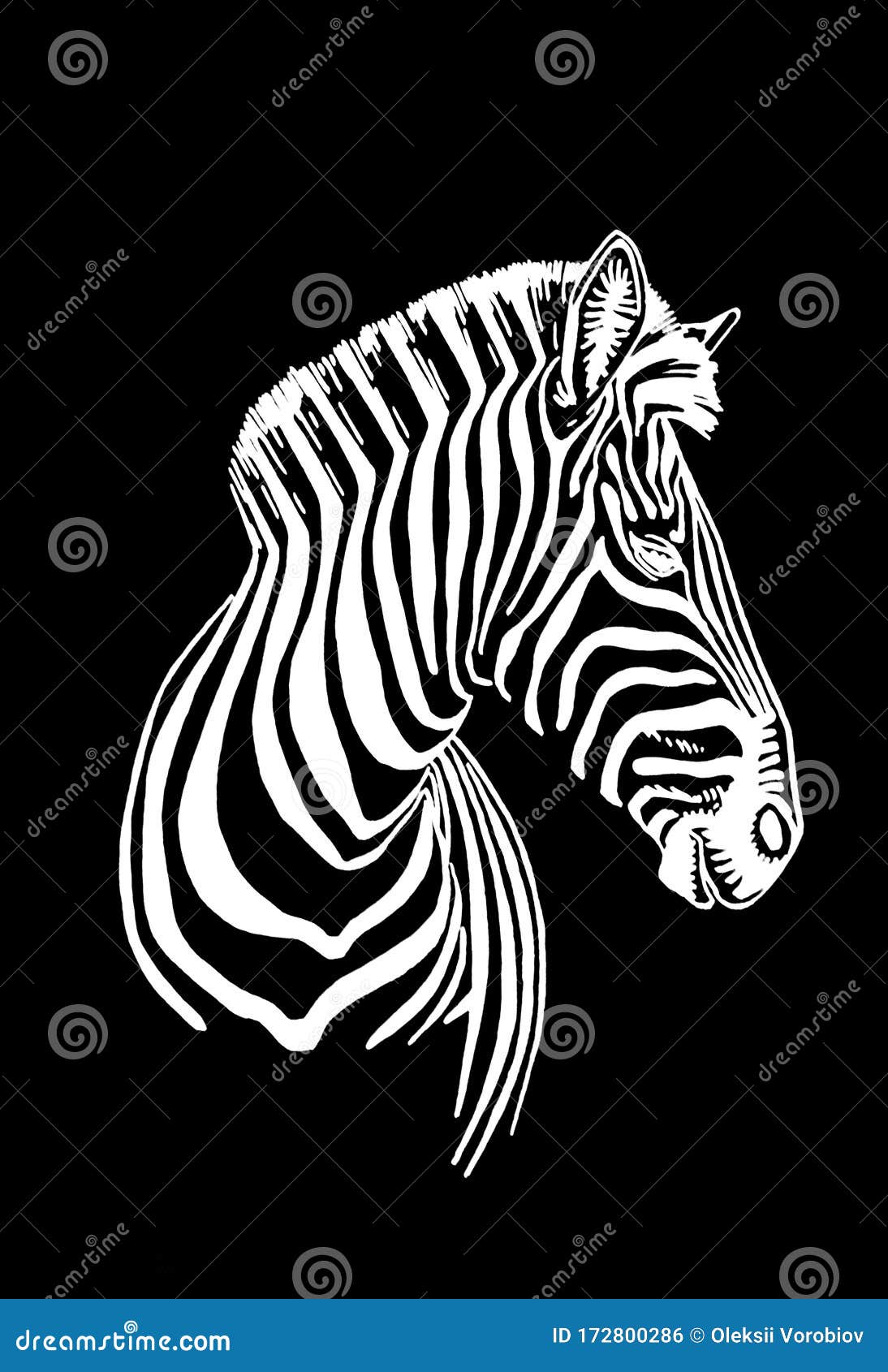 Graphical Hand-drawn Portrait Of Zebra Isolated On Black Background ... Graphical Hand-drawn Portrait Of Zebra Isolated On Black Background ...