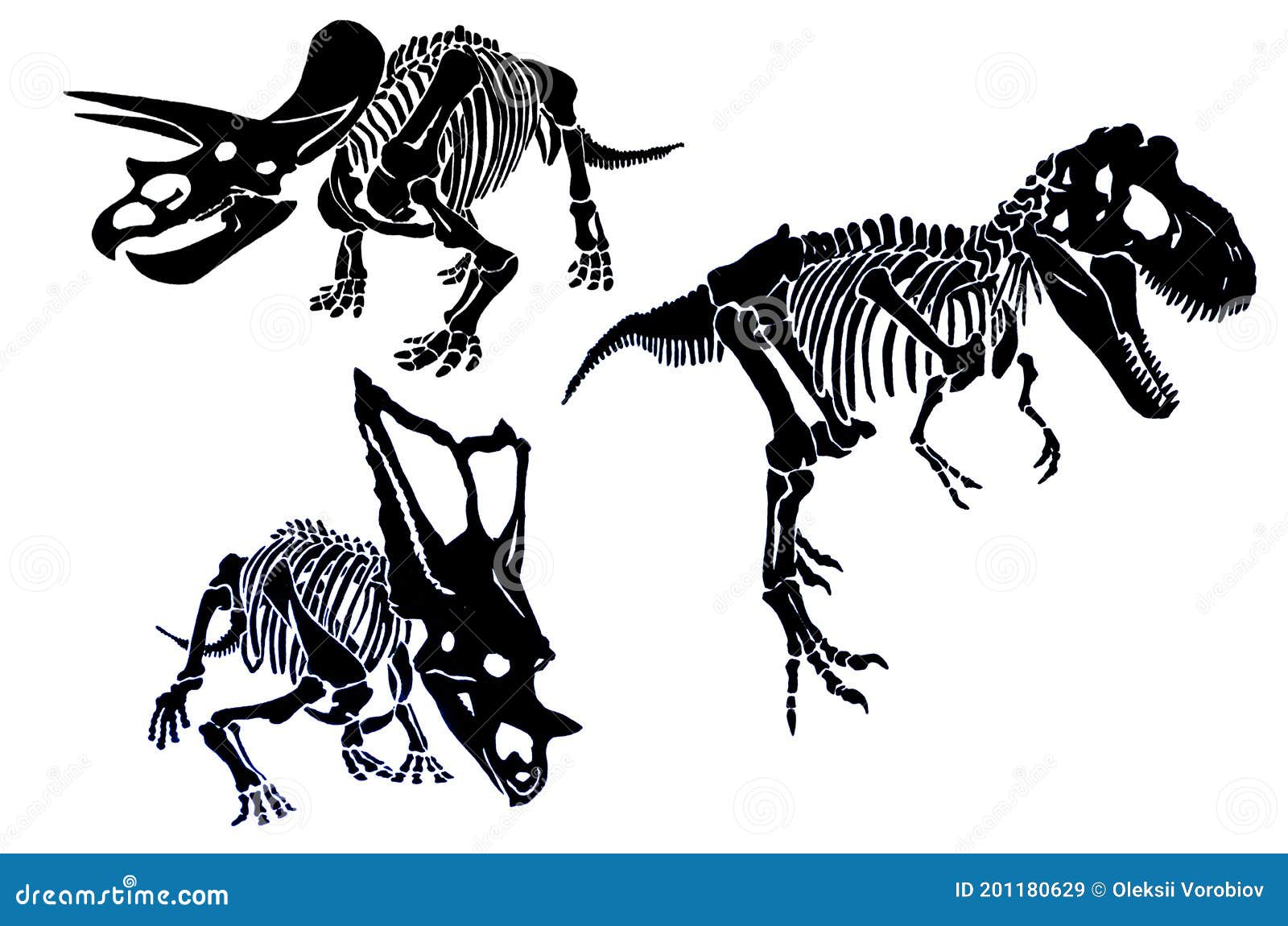 Graphical Set of Dinosaurs` Skeletons Isolated on White Background ... Graphical Set of Dinosaurs` Skeletons Isolated on White Background ...