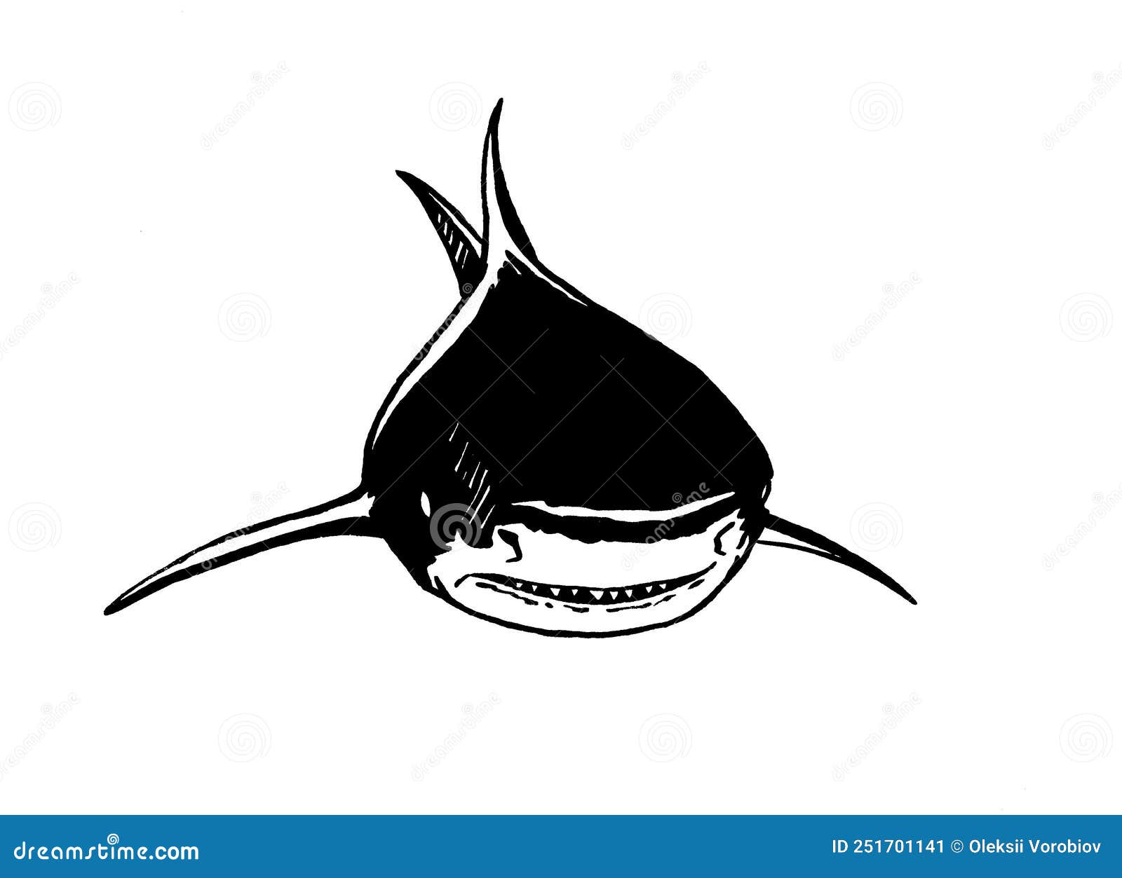 Graphical Hand-drawn Shark with Sharp Teeth Isolated on White.Marine ...