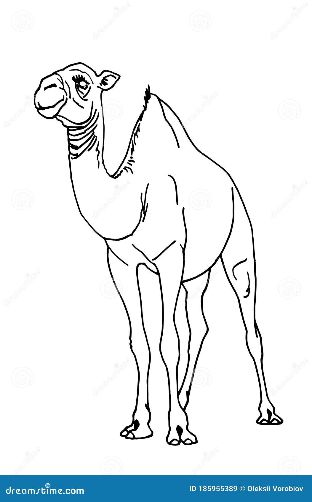 Graphical Hand-drawn Sketch of Camel Isolated on White Background ... Graphical Hand-drawn Sketch of Camel Isolated on White Background ...
