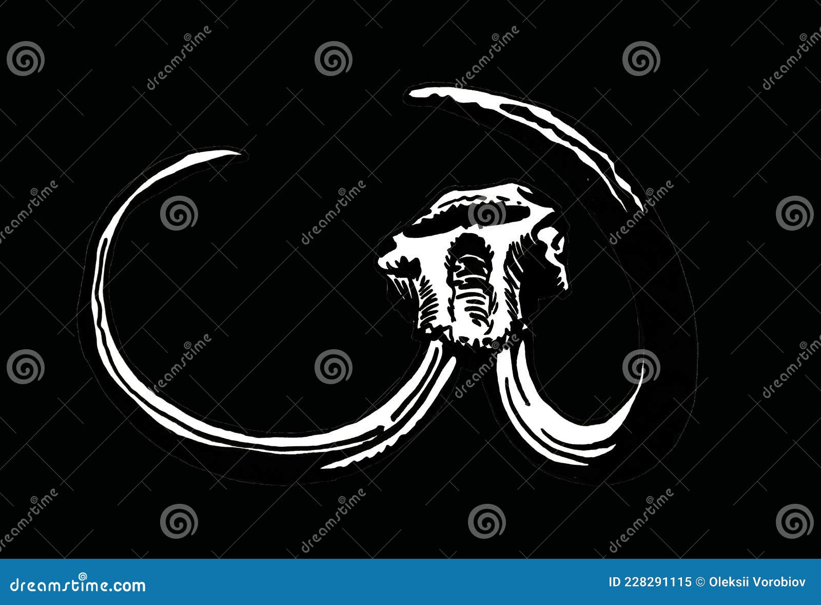 Graphical Hand-drawn Skull Of Mammoth Isolated On Black Background ...