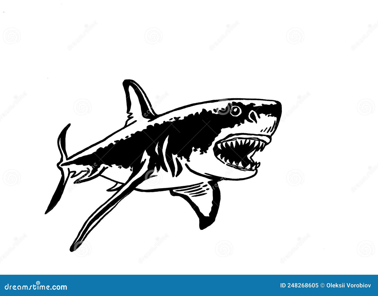 Graphical Illustration of Great White Shark ,angry Look. Aquatic Hunter ...