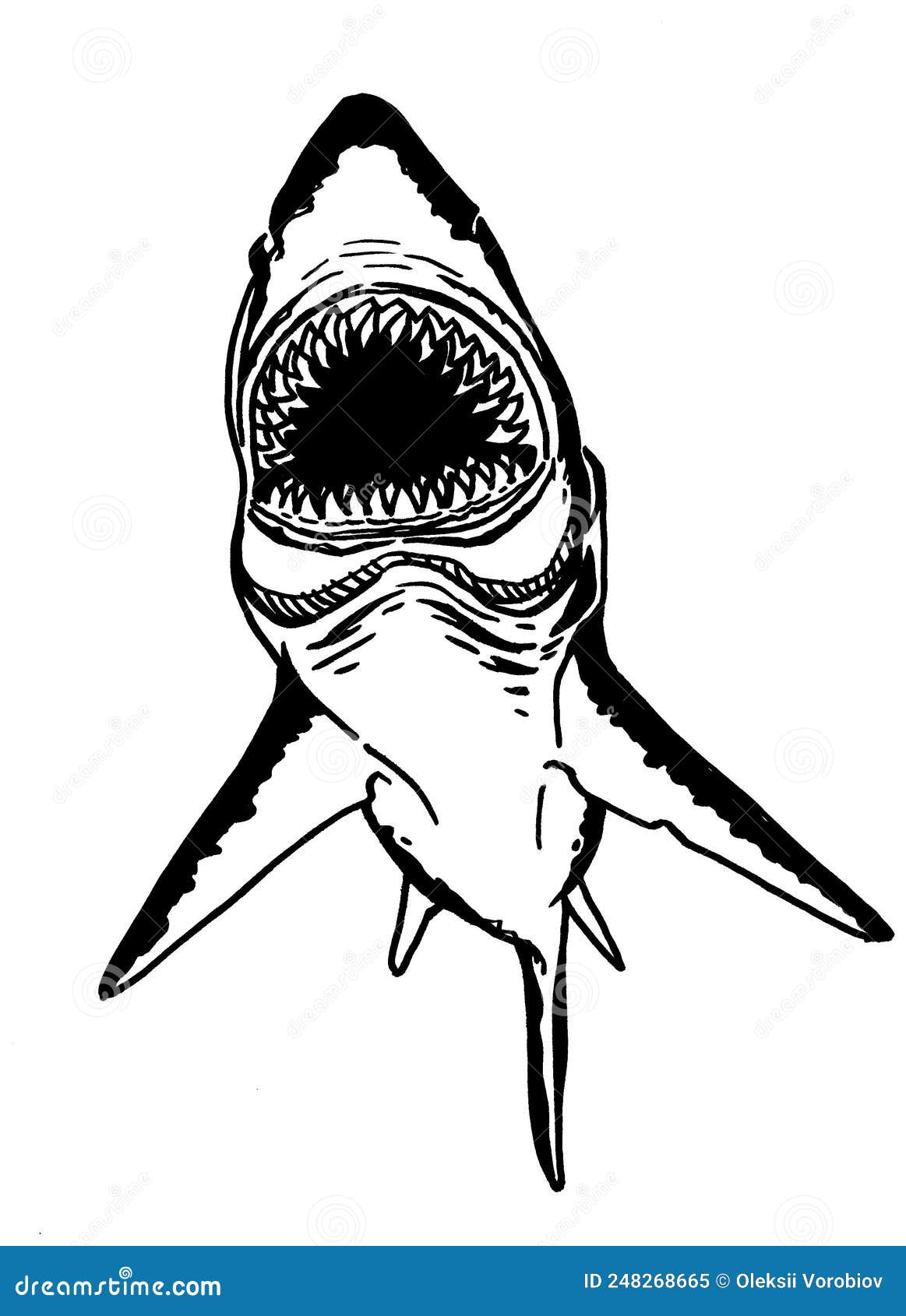 Shark Angry Royalty-Free Illustration | CartoonDealer.com #30196539