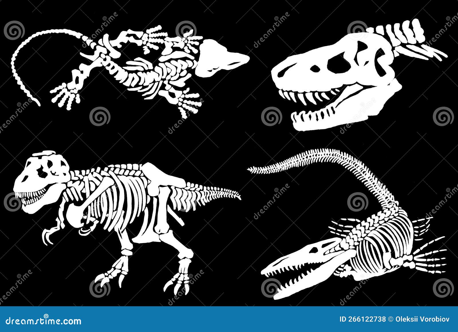 Graphical Illustration, Set of Dinosaur Skeletons Isolated on Black ...