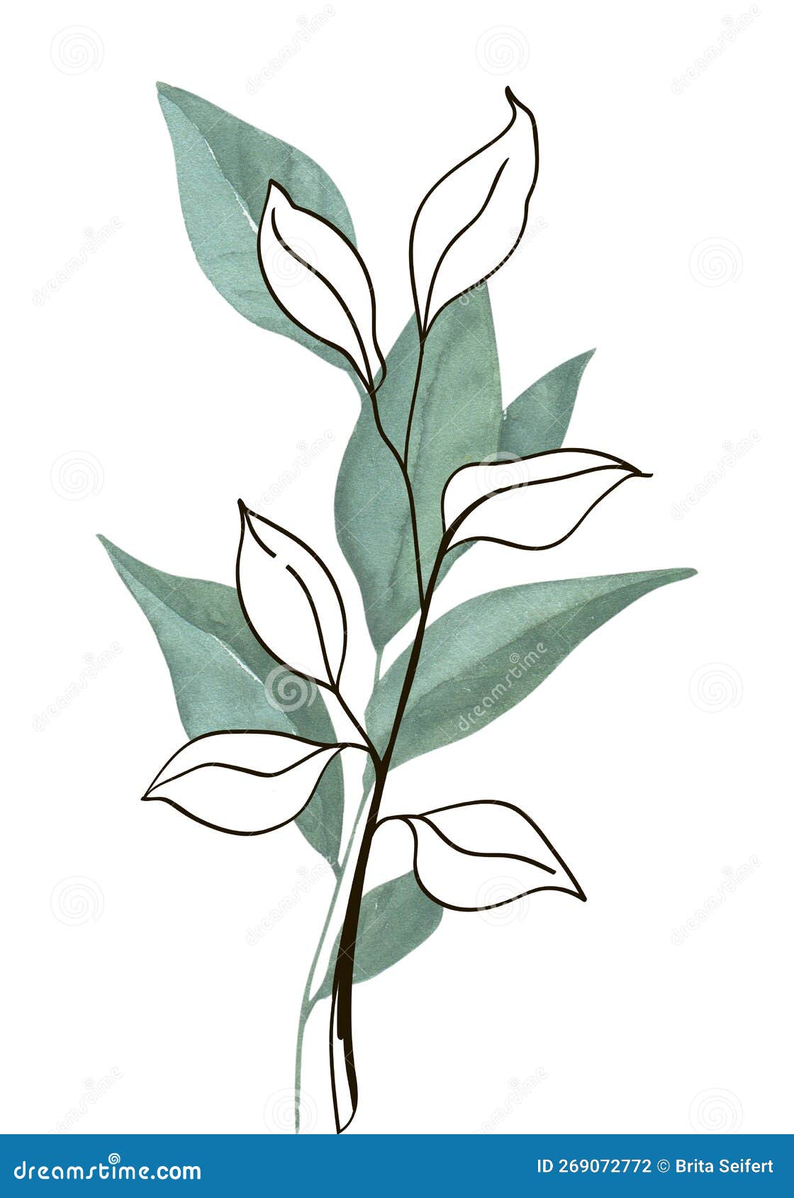 Graphical Leaves Illustration. Floral Line Art, Minimal Pattern ...