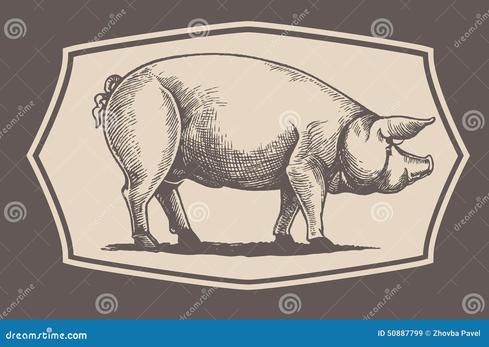Graphical pig in frame stock vector. Illustration of bubble - 50887799
