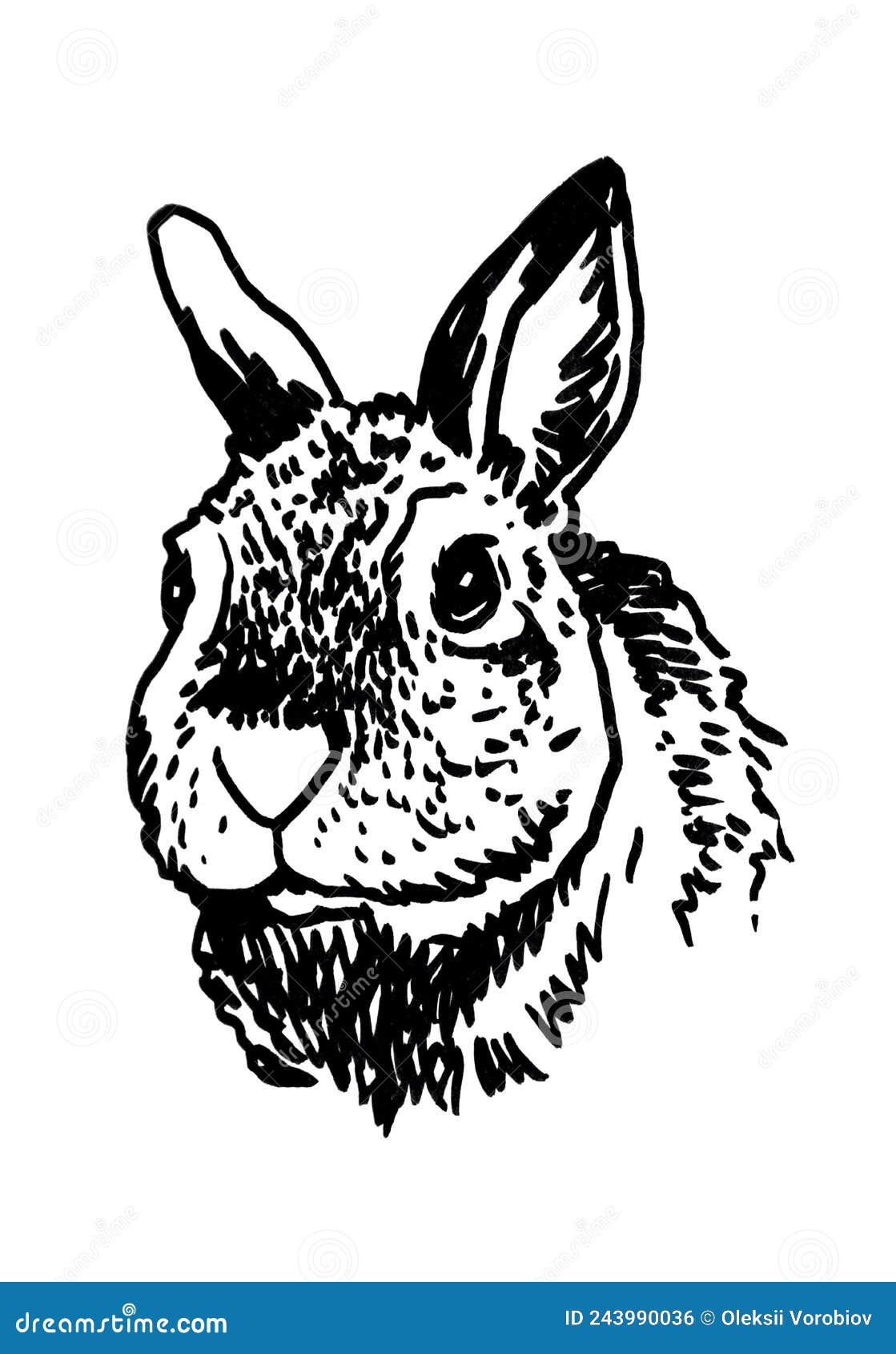 Rabbit. Rabbit Element For Coloring Book. Linear Drawing Of A Bunny ...