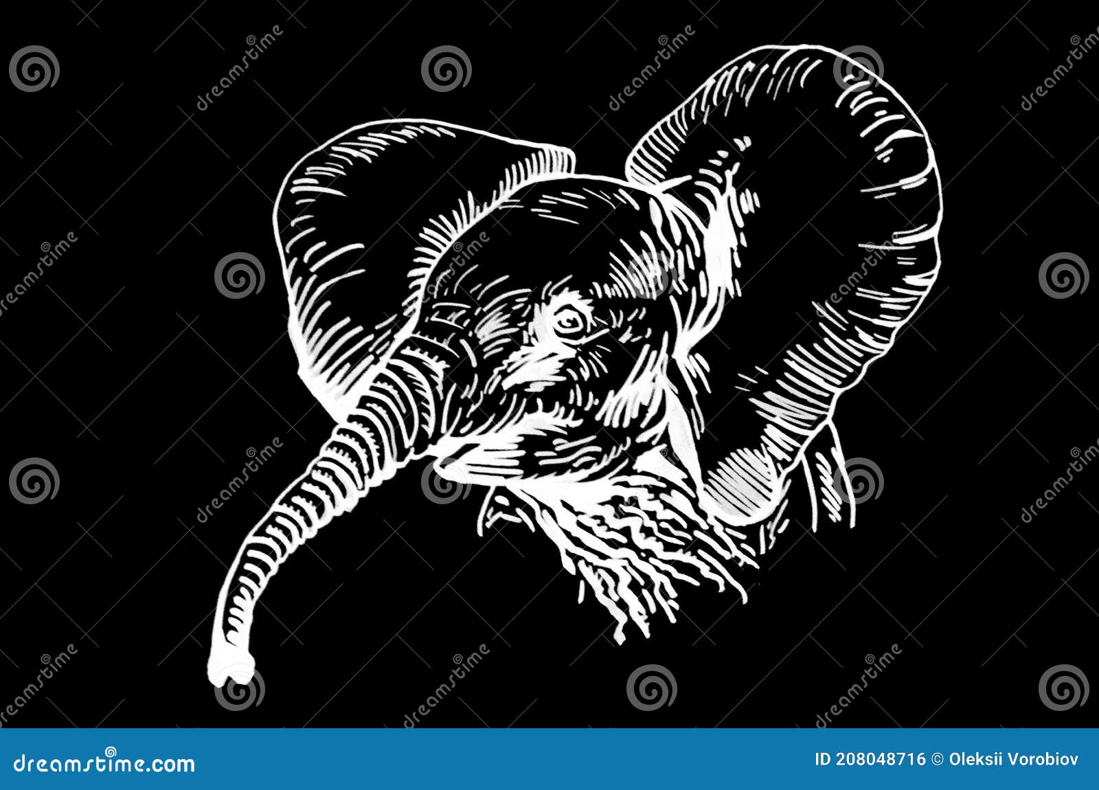 Graphical Portrait of Elephant Isolated on Black Background, Vector ...