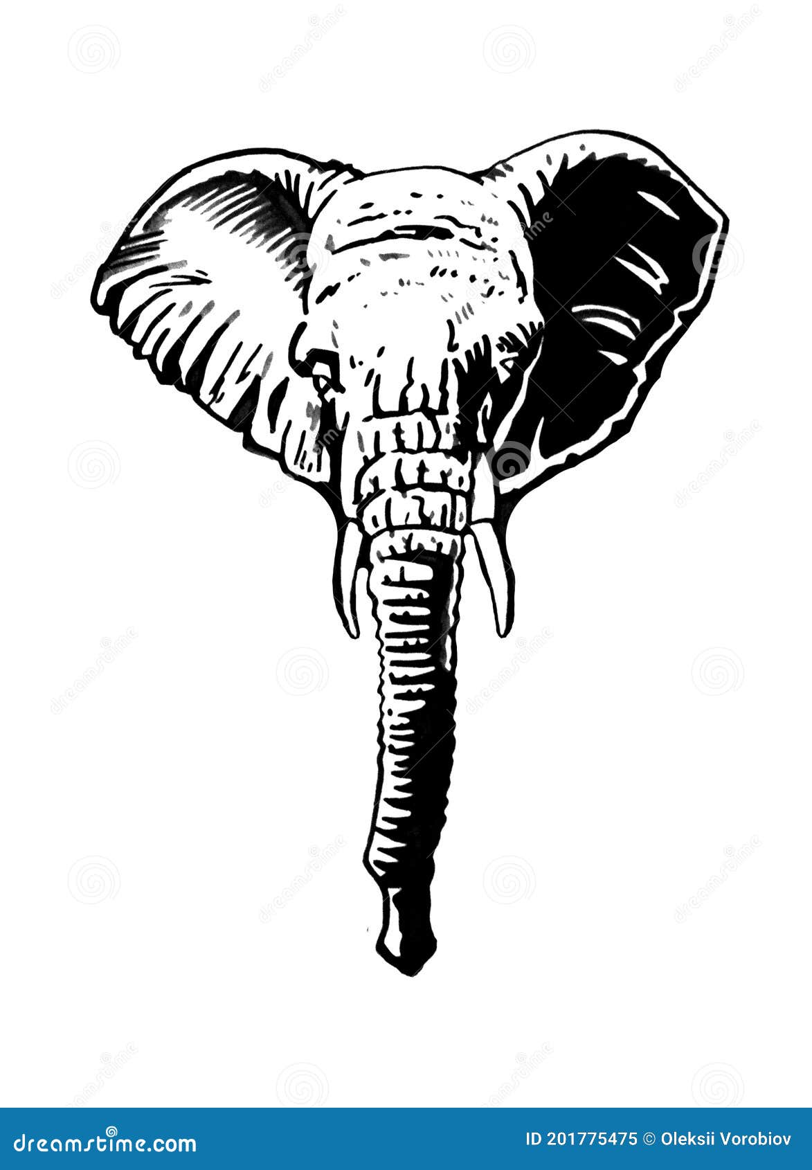 Graphical Portrait of Elephant Isolated on White Background, Vector ...