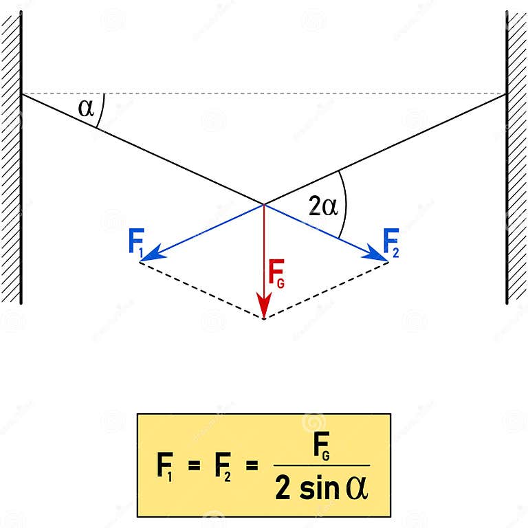 Graphical Representation of the Decomposition of the Force into Two ...