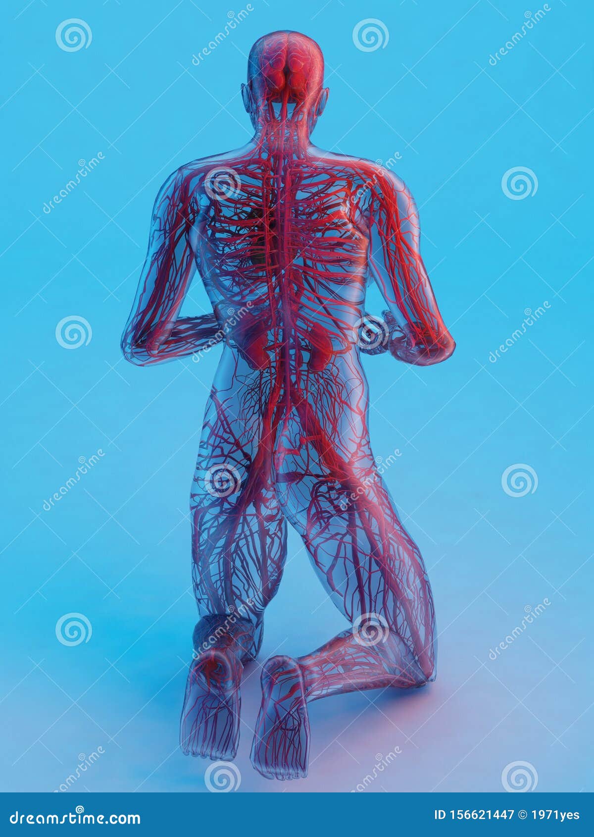 The human blood system stock illustration. Illustration of computer ...