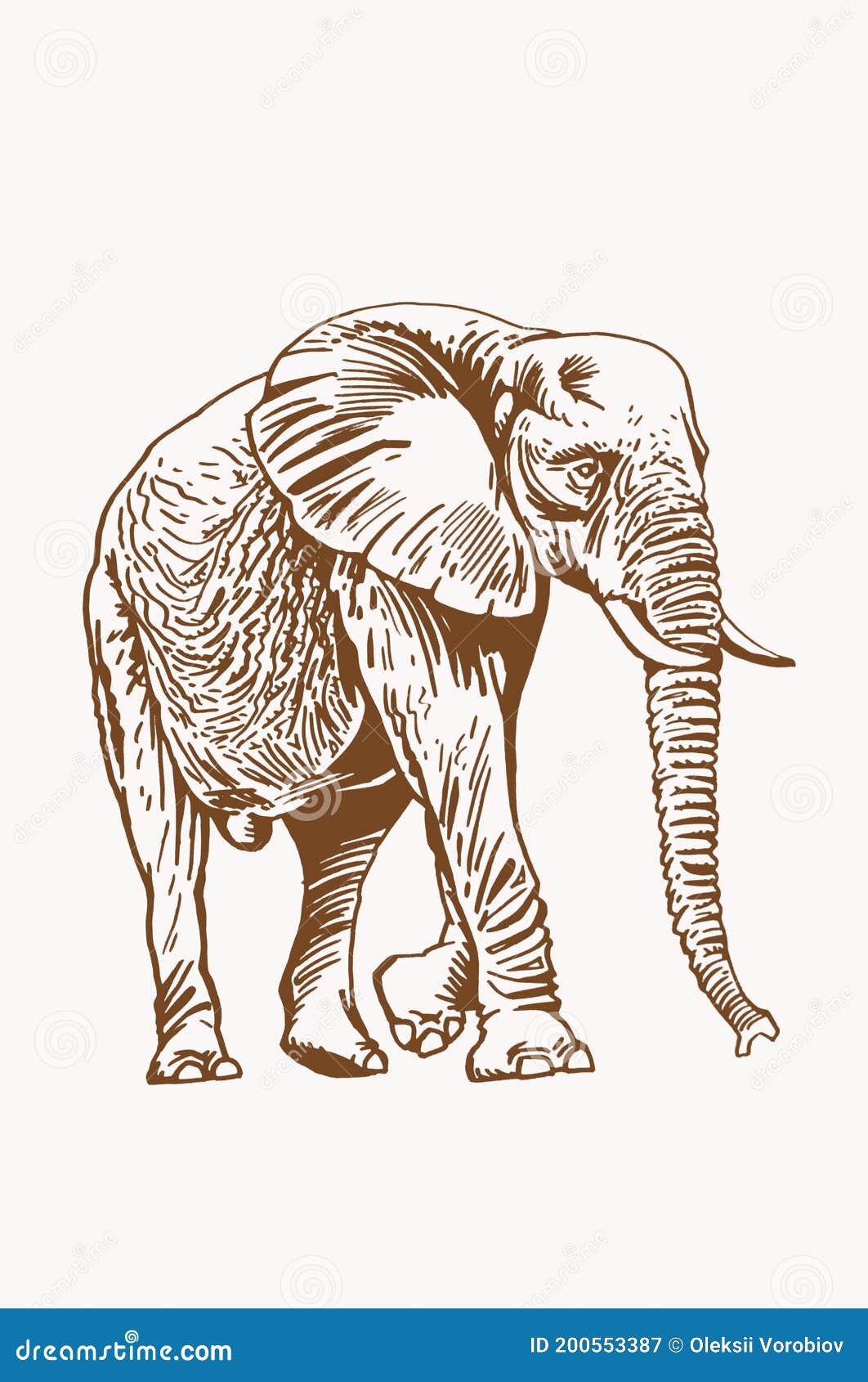 Graphical Elephant Running Isolated On White Background, Vector ...