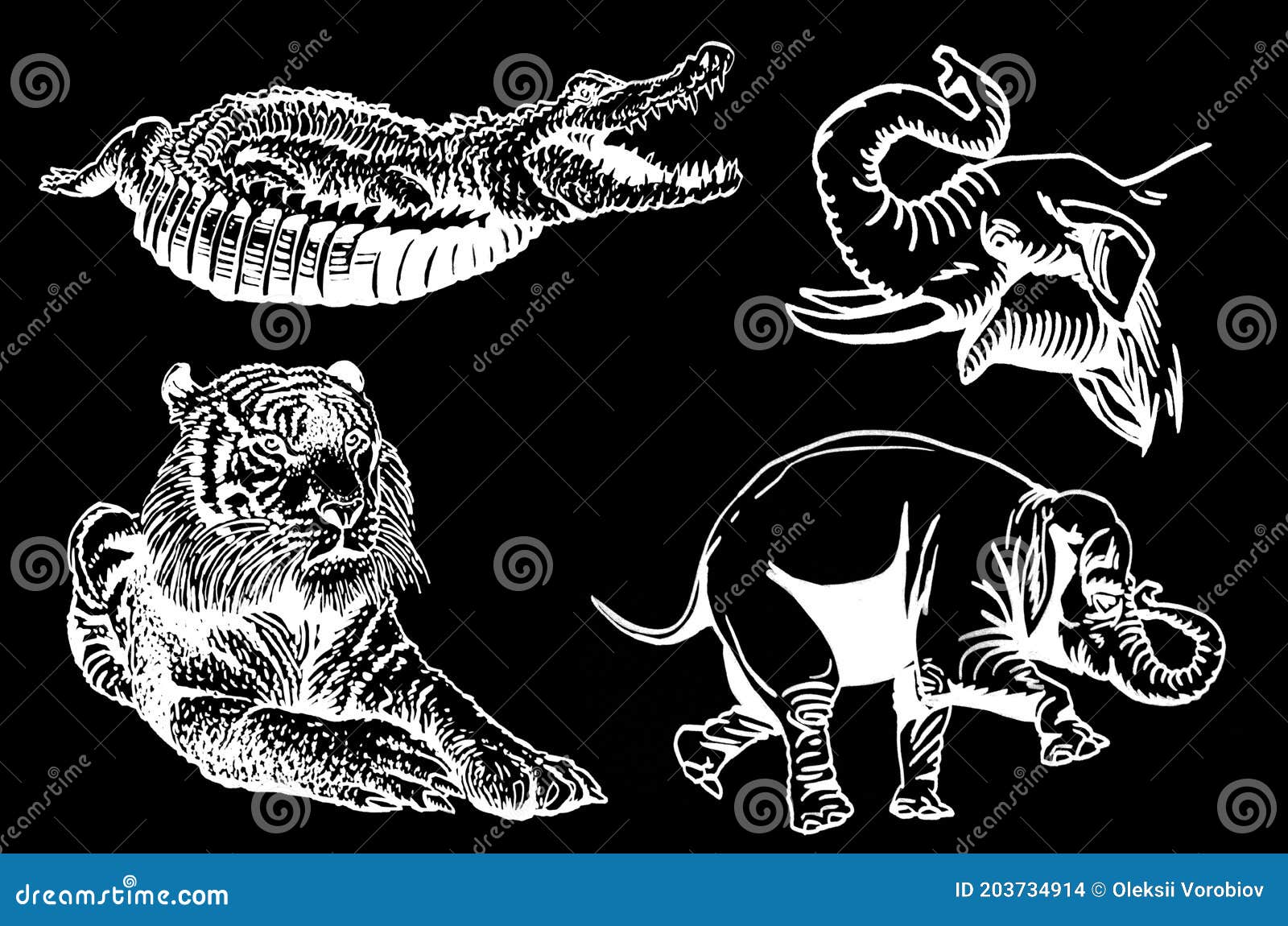 Graphical Set of African Animals Isolated on Black, Vector Illustration ...