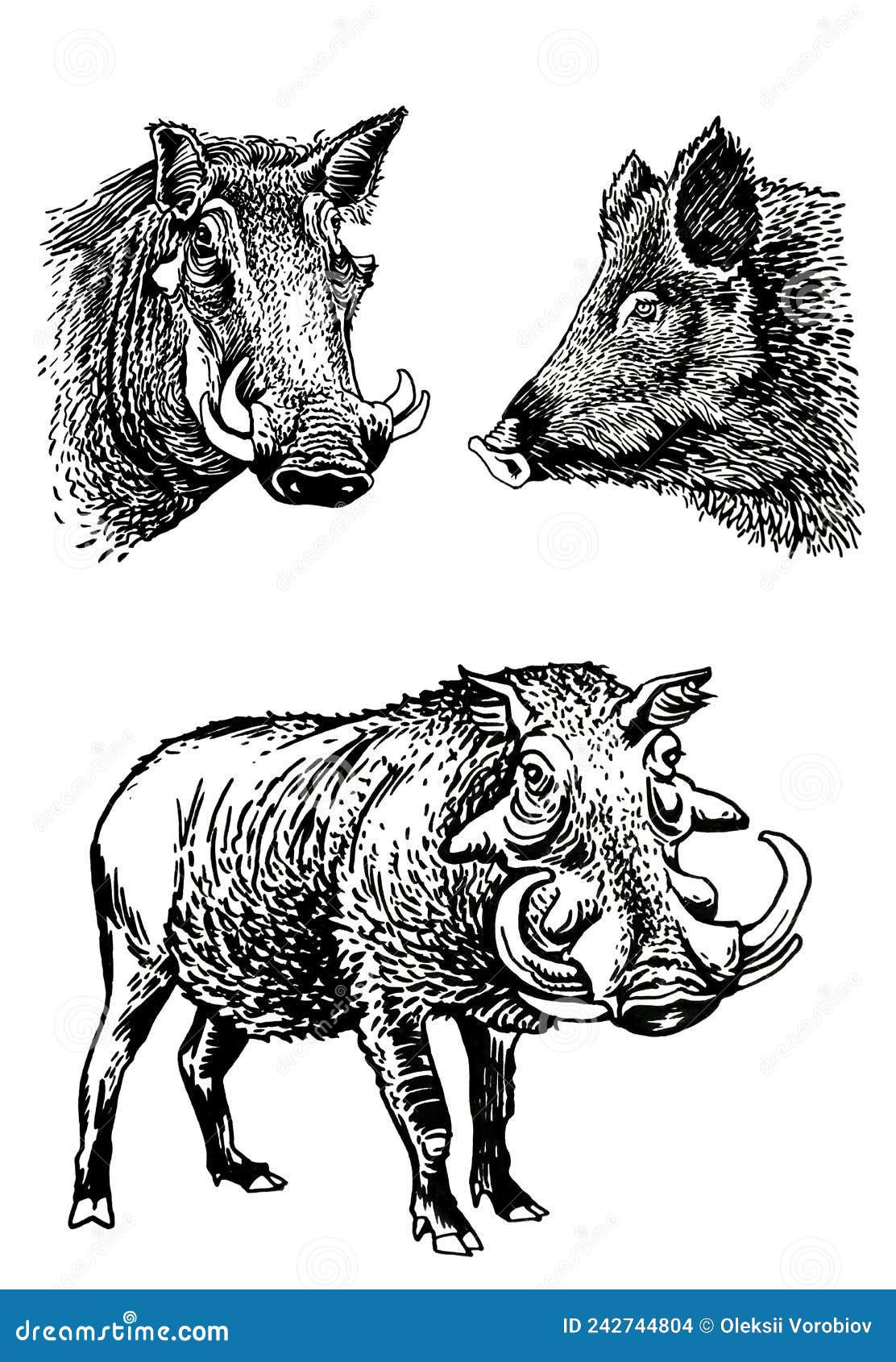 Hogs Logo Symbol Vector Illustration | CartoonDealer.com #97579316