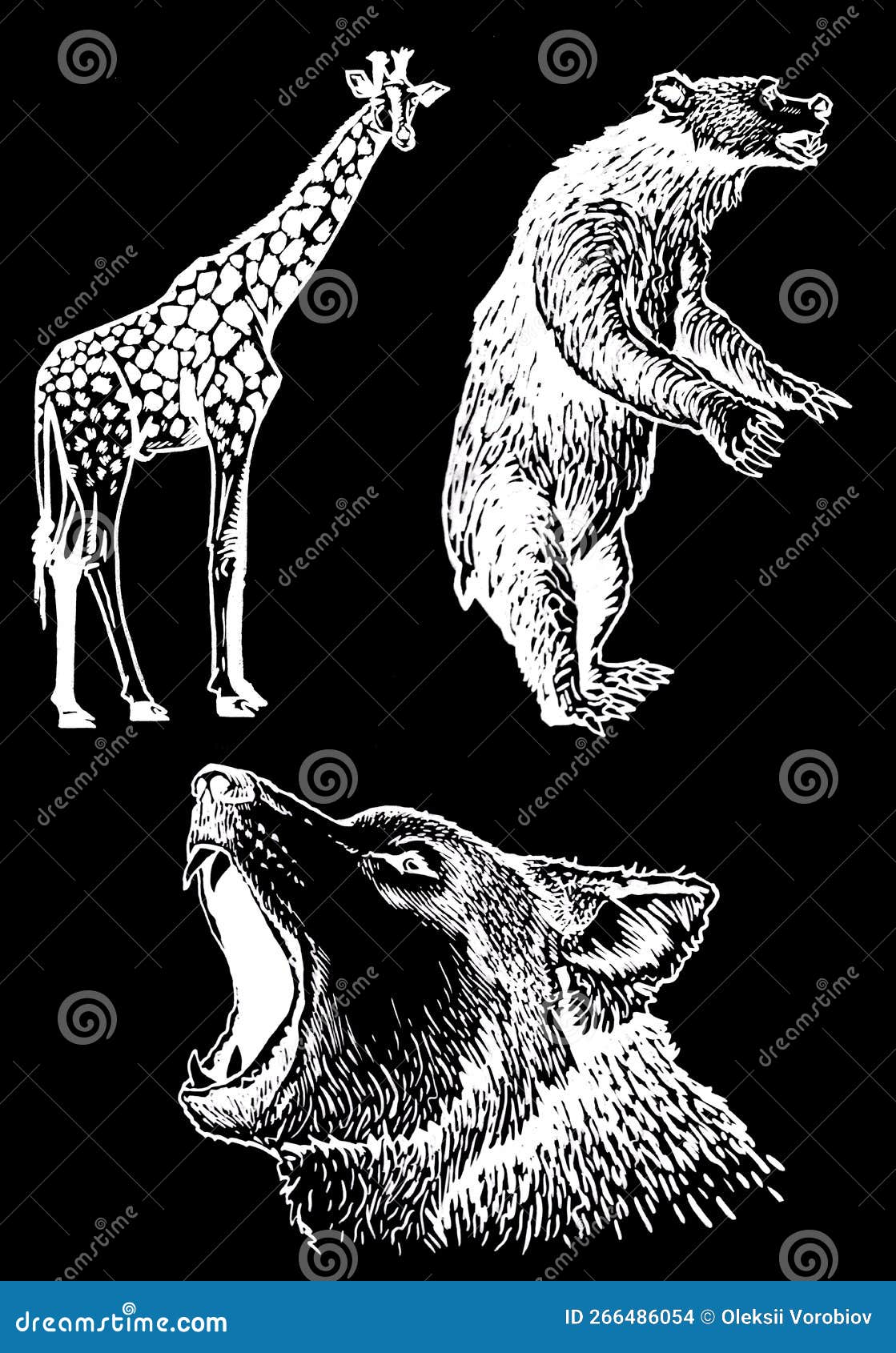 Graphical Set Of Animals Isolated On Black Background,vector Engraved ...
