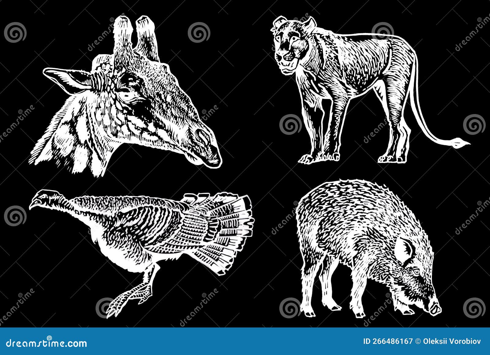 Graphical Set Of Animals Isolated On Black Background,vector Engraved ...
