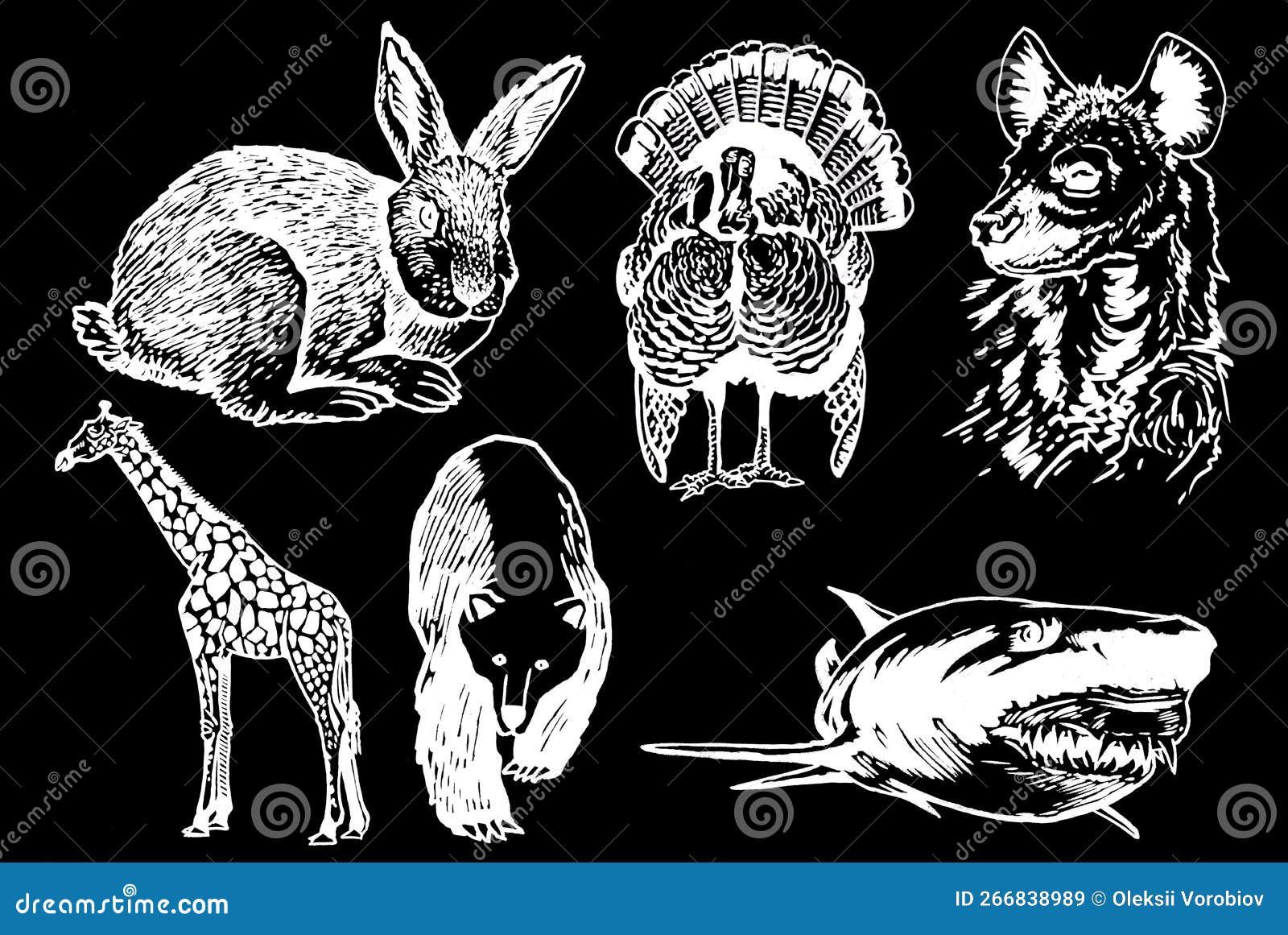 Graphical Set of Animals Isolated on Black Background,vector Engraved ...