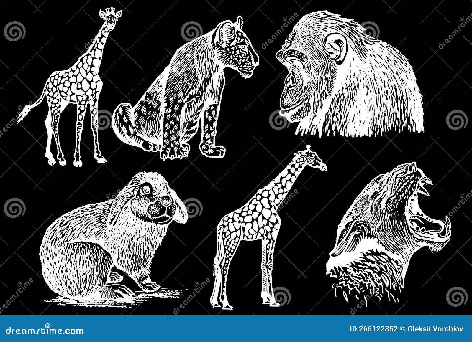 Graphical Set of Animals Isolated on Black Background,vector Engraved ...