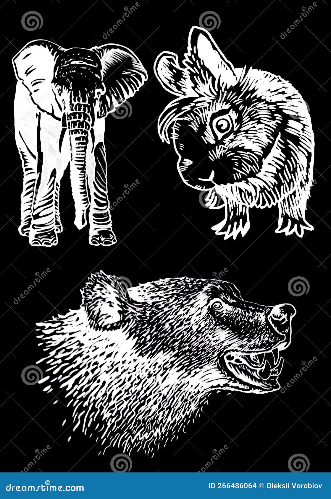 Graphical Set of Animals Isolated on Black Background,vector Engraved ...