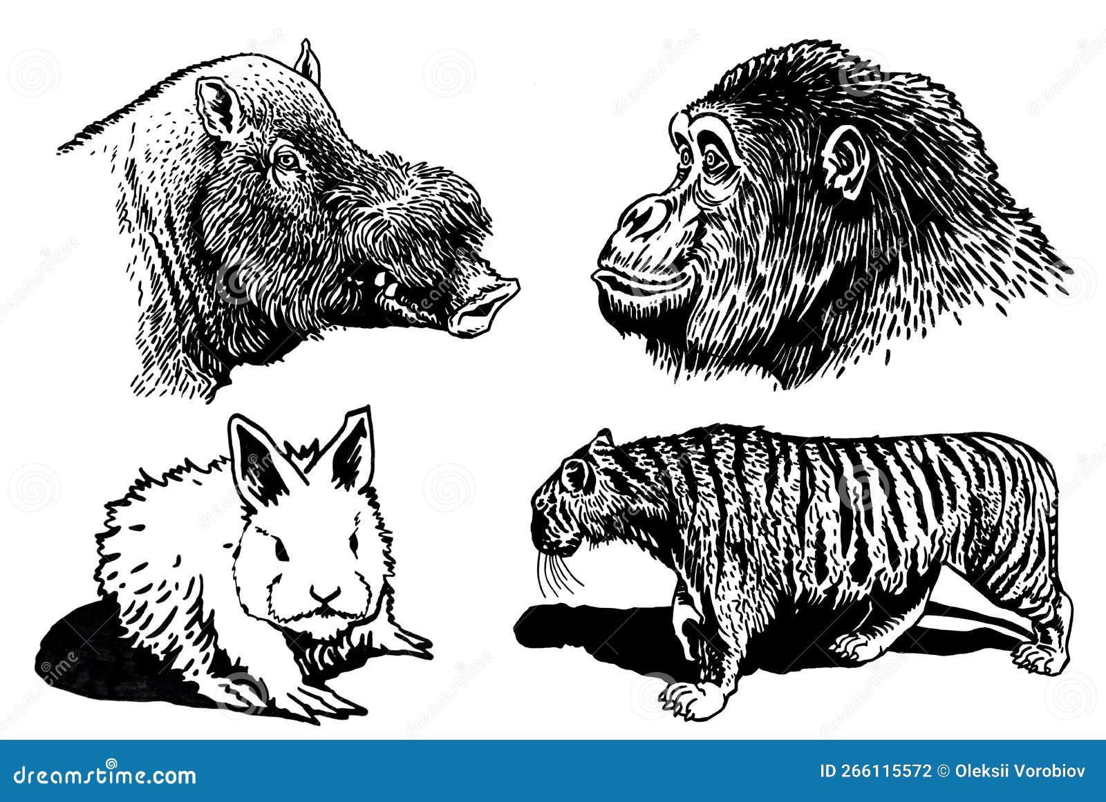 Graphical Set of Animals Isolated on White Background,vector ...