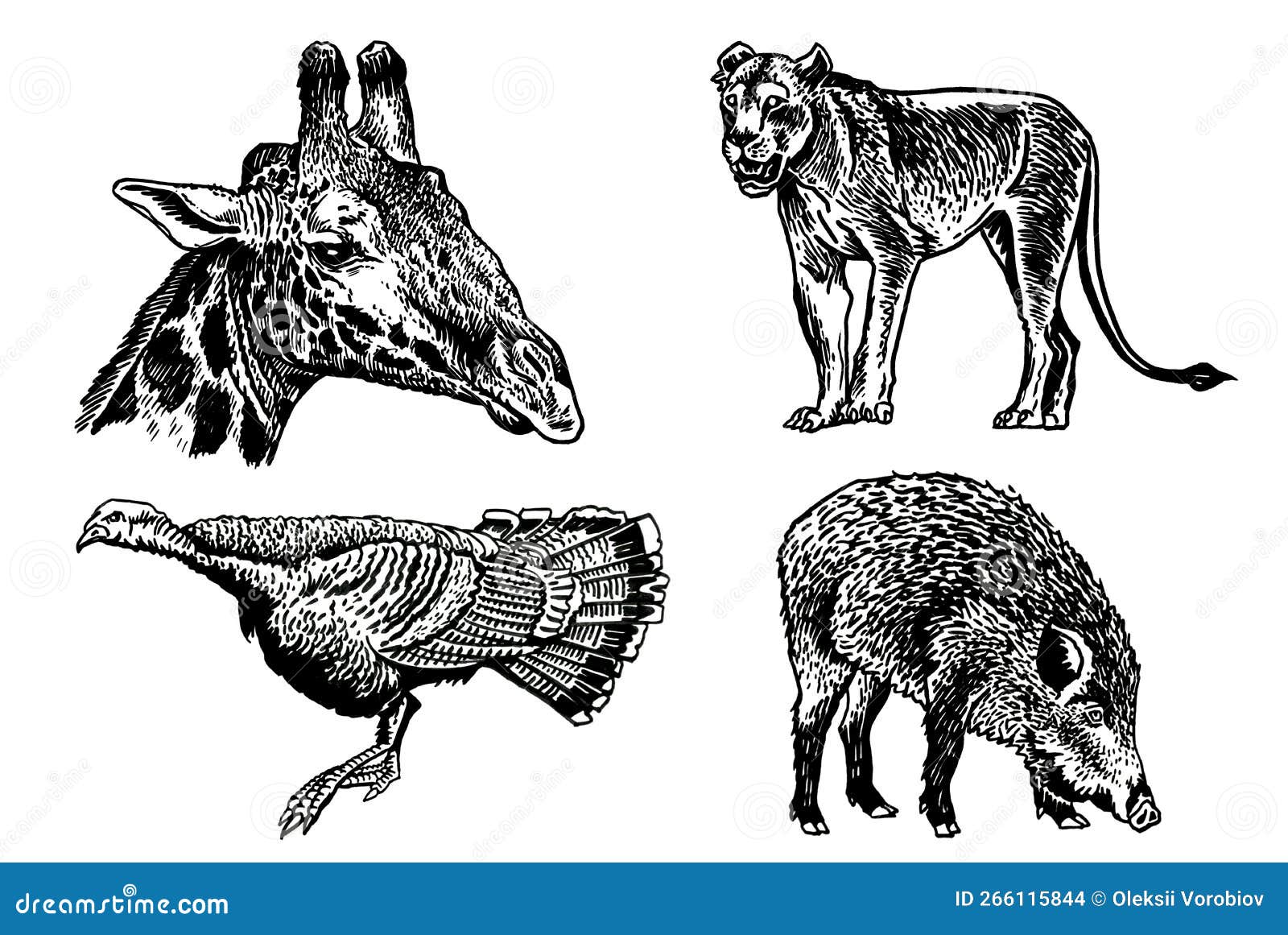 Graphical Set Of Animals Isolated On White Background,vector ...