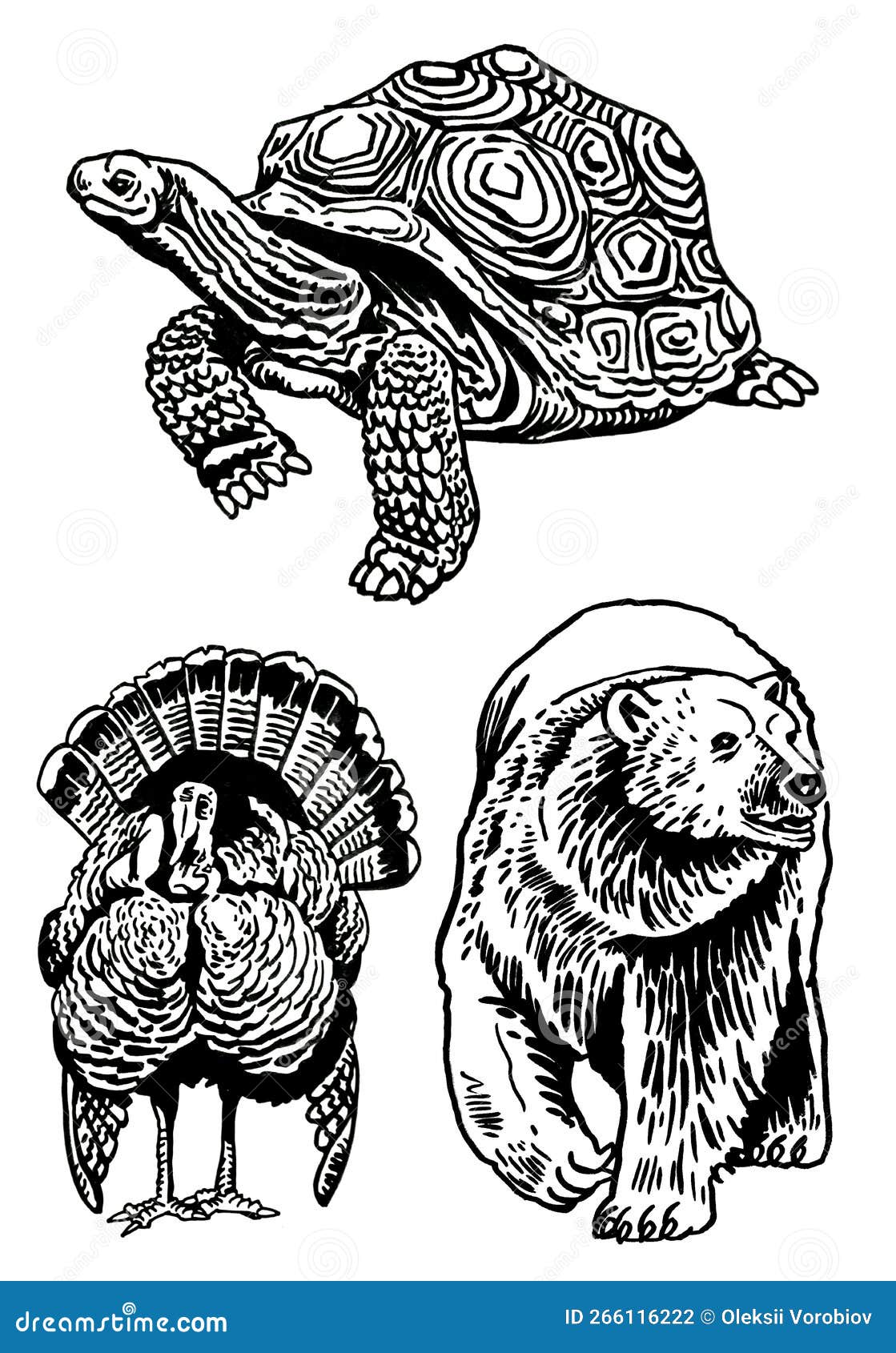 Graphical Set of Animals Isolated on White Background,vector ...