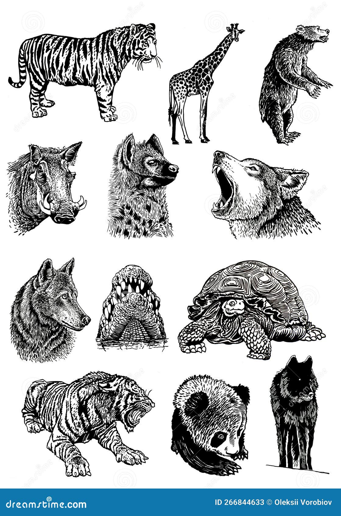 Graphical Set of Animals Isolated on White Background,vector ...