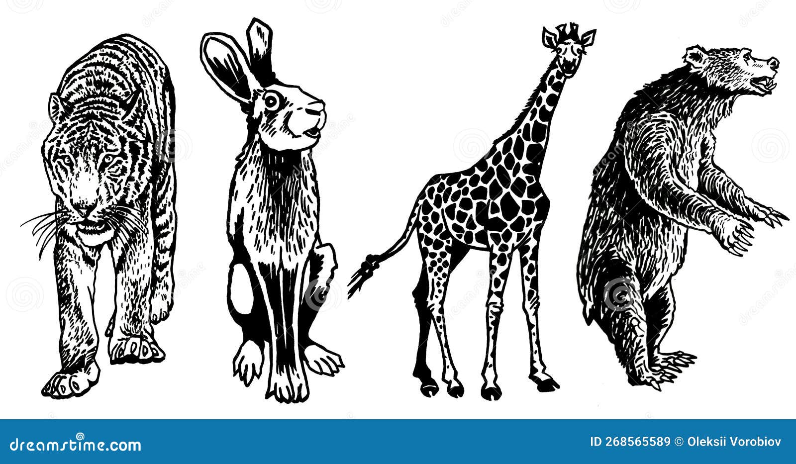 Graphical Set Of Animals Isolated On White Background,vector ...