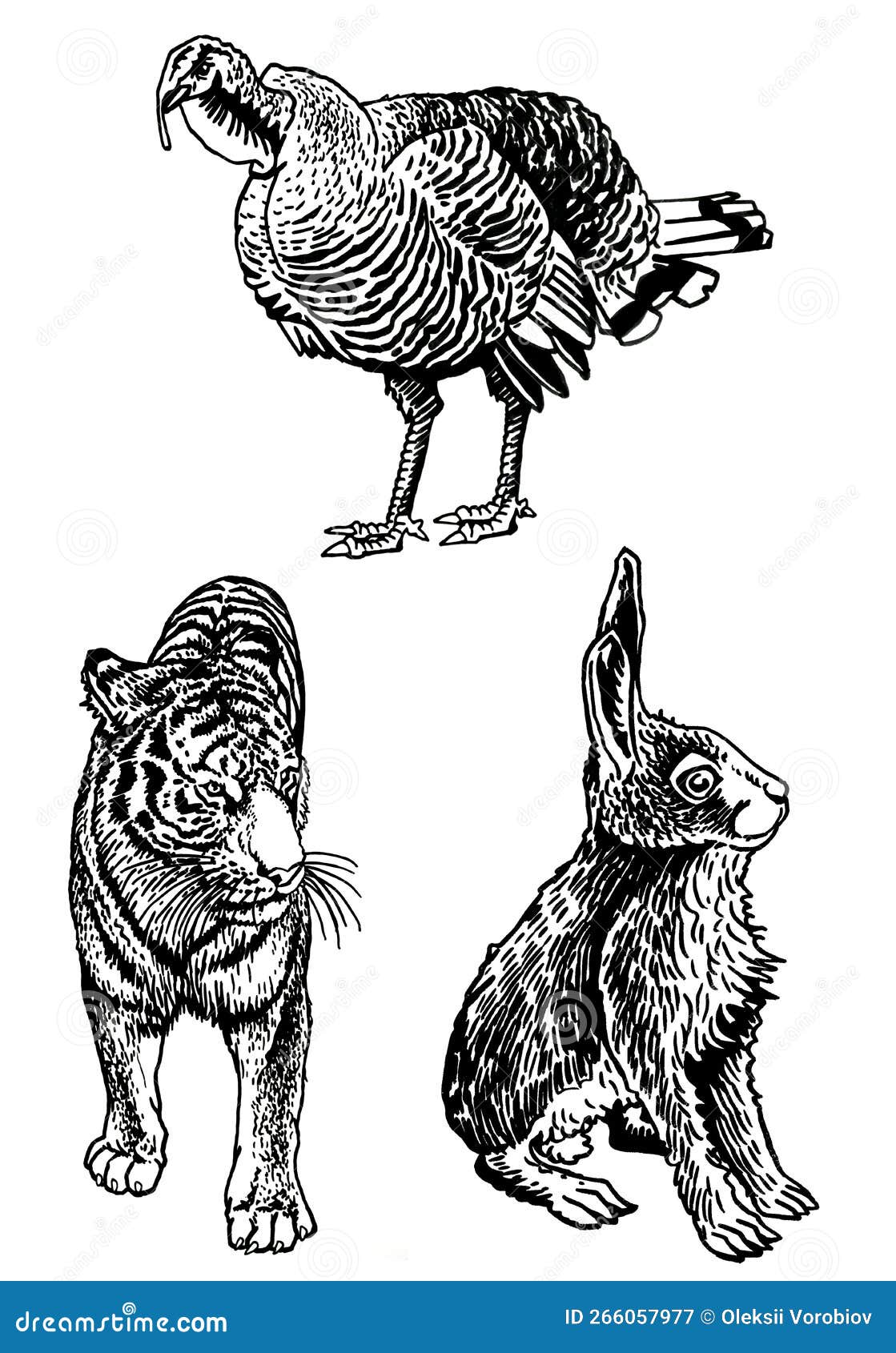 Graphical Set Of Animals Isolated On White Background,vector ...