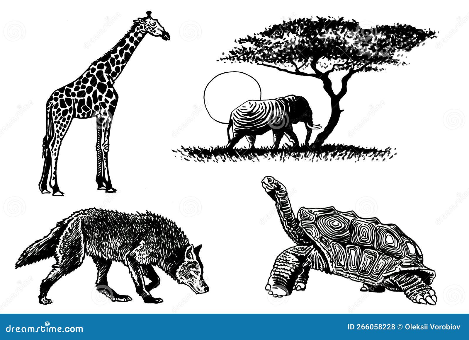 Graphical Set Of Animals Isolated On White Background,vector ...