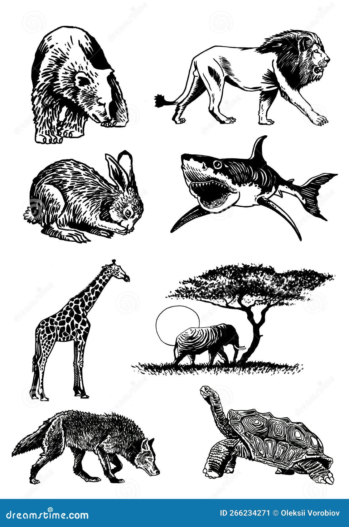 Graphical Set of Animals Isolated on White Background,vector ...