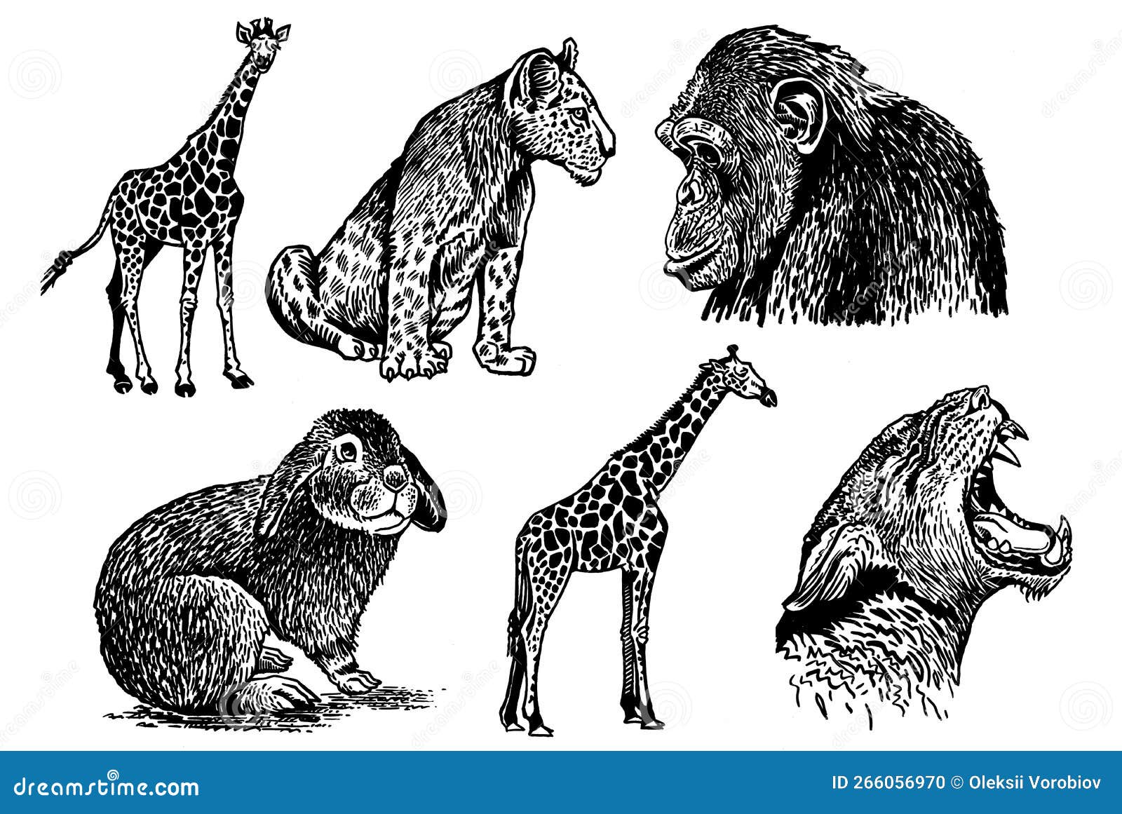 Graphical Set Of Animals Isolated On White Background,vector ...