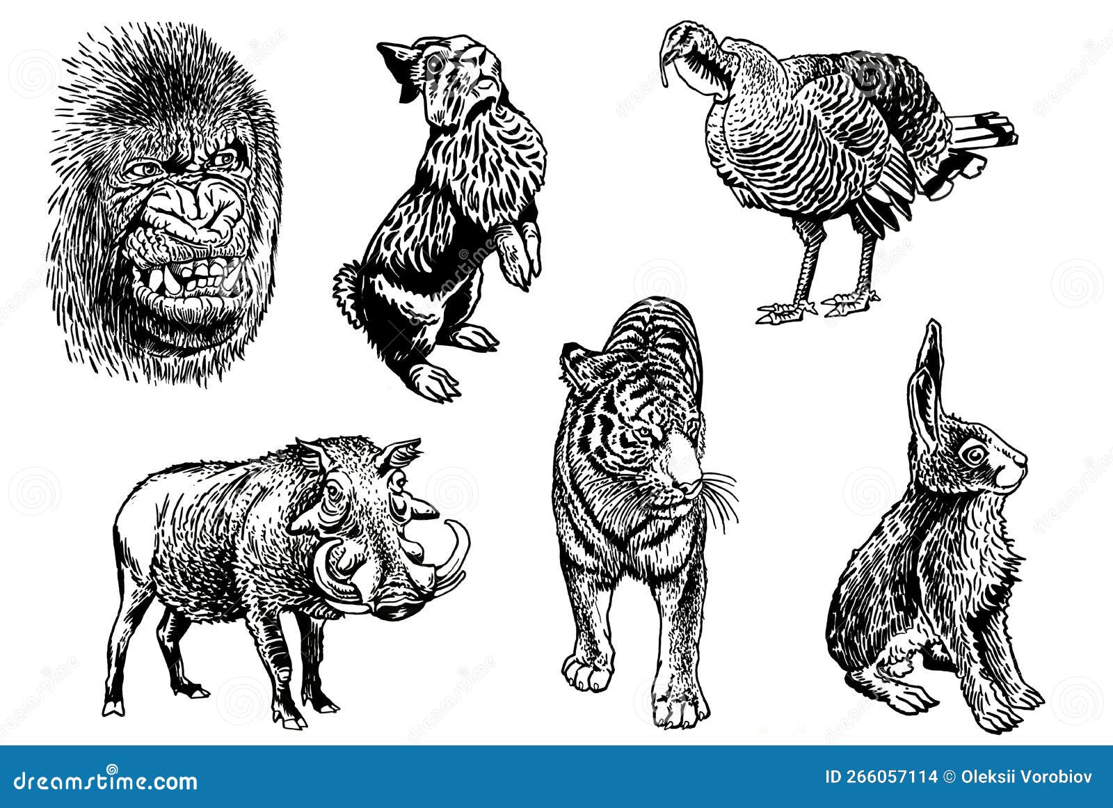 Graphical Set of Animals Isolated on White Background,vector ...