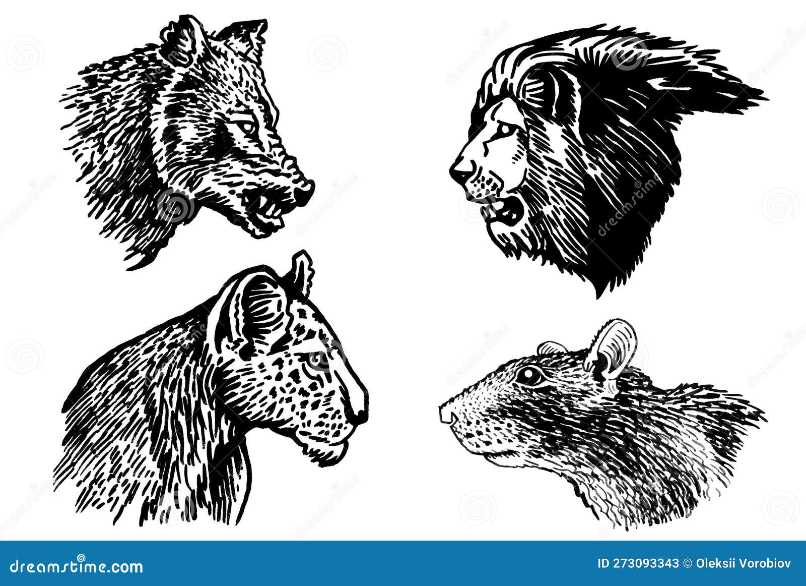 Graphical Set of Animals Isolated on White, Vector Portraits of Lion ...