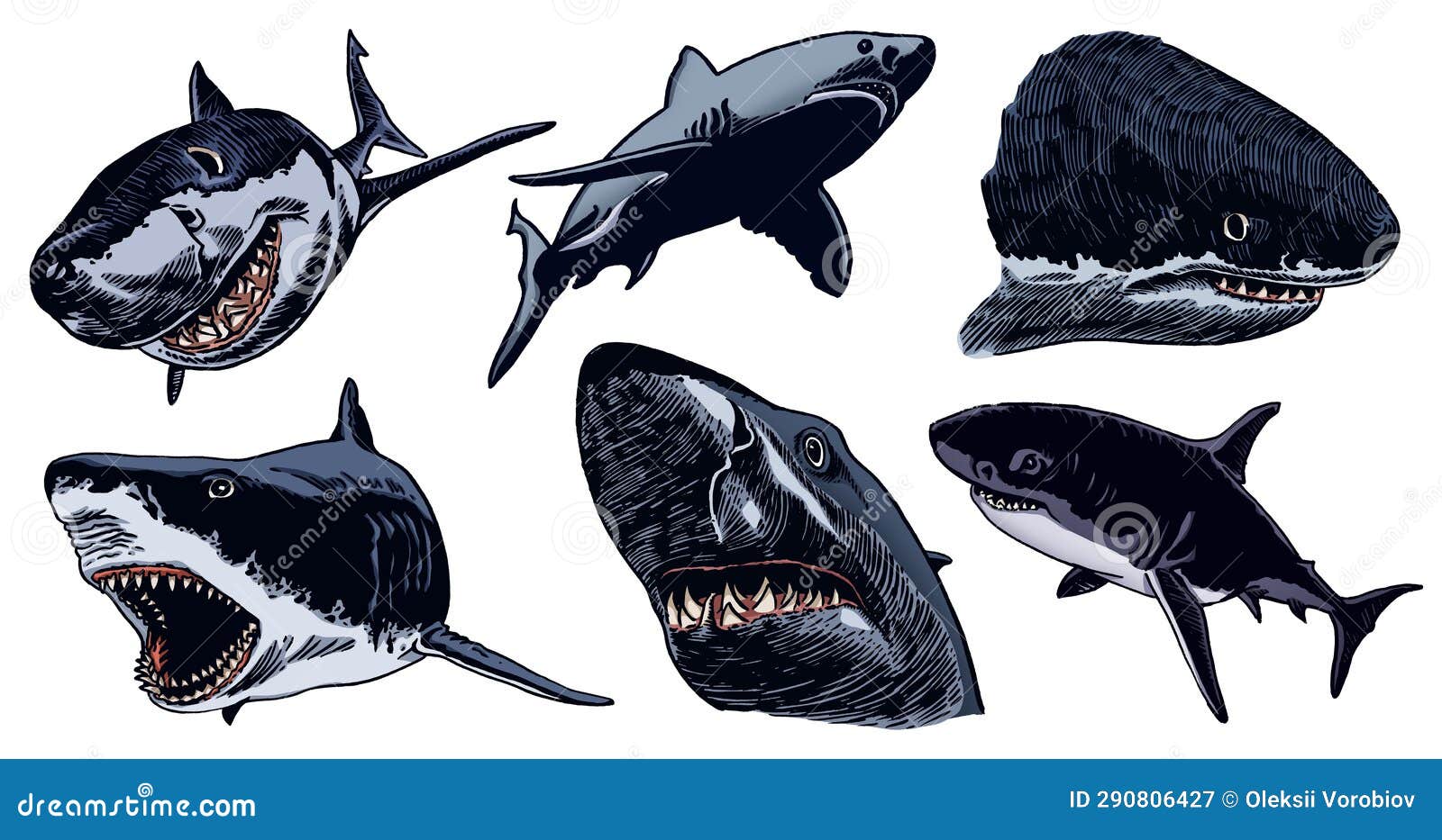Graphical Set Blue Sharks Isolated on White Background, Vector Color ...