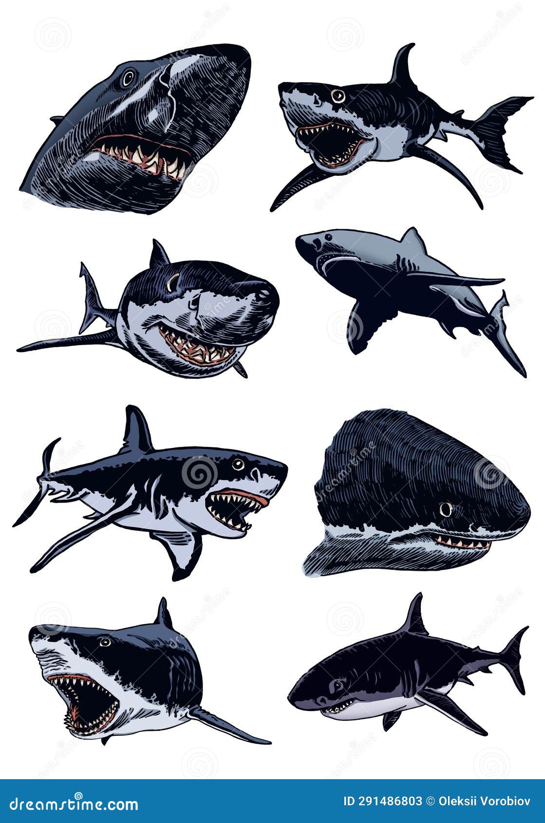 Graphical Set Blue Sharks Isolated on White Background, Vector Color ...