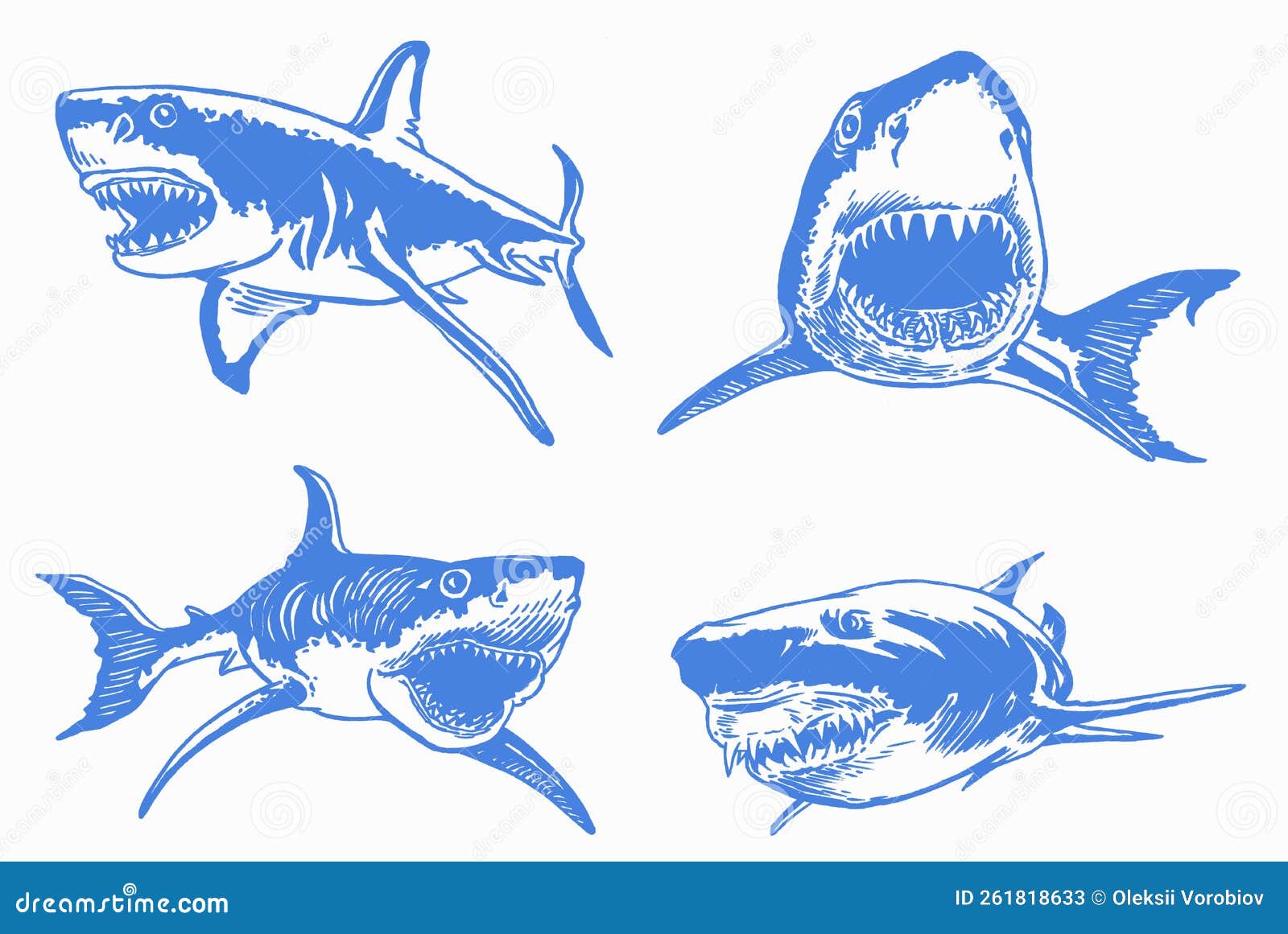 Graphical Set Of Blue Sharks And Jaws Isolated On White Background ...